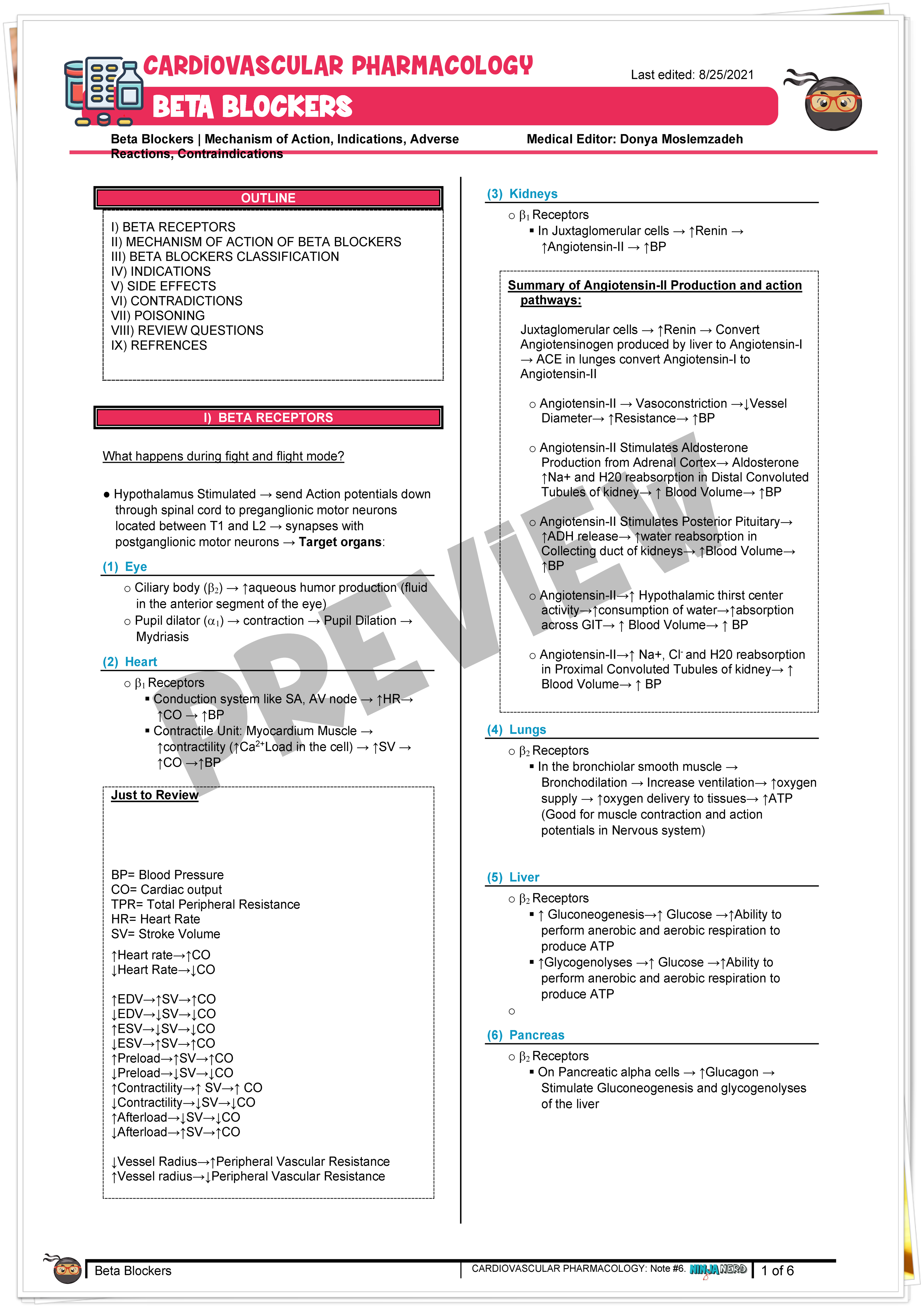 Beta Blockers | Mechanism of Action, Indications, Adverse Reactions ...