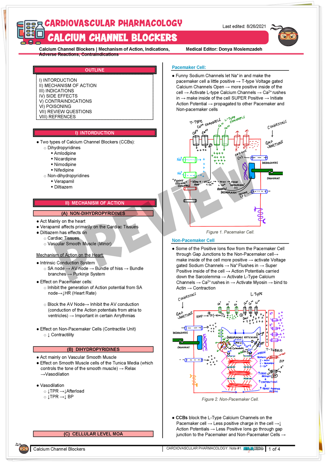 Calcium Channel Blockers | Mechanism of Action, Indications, Adverse ...