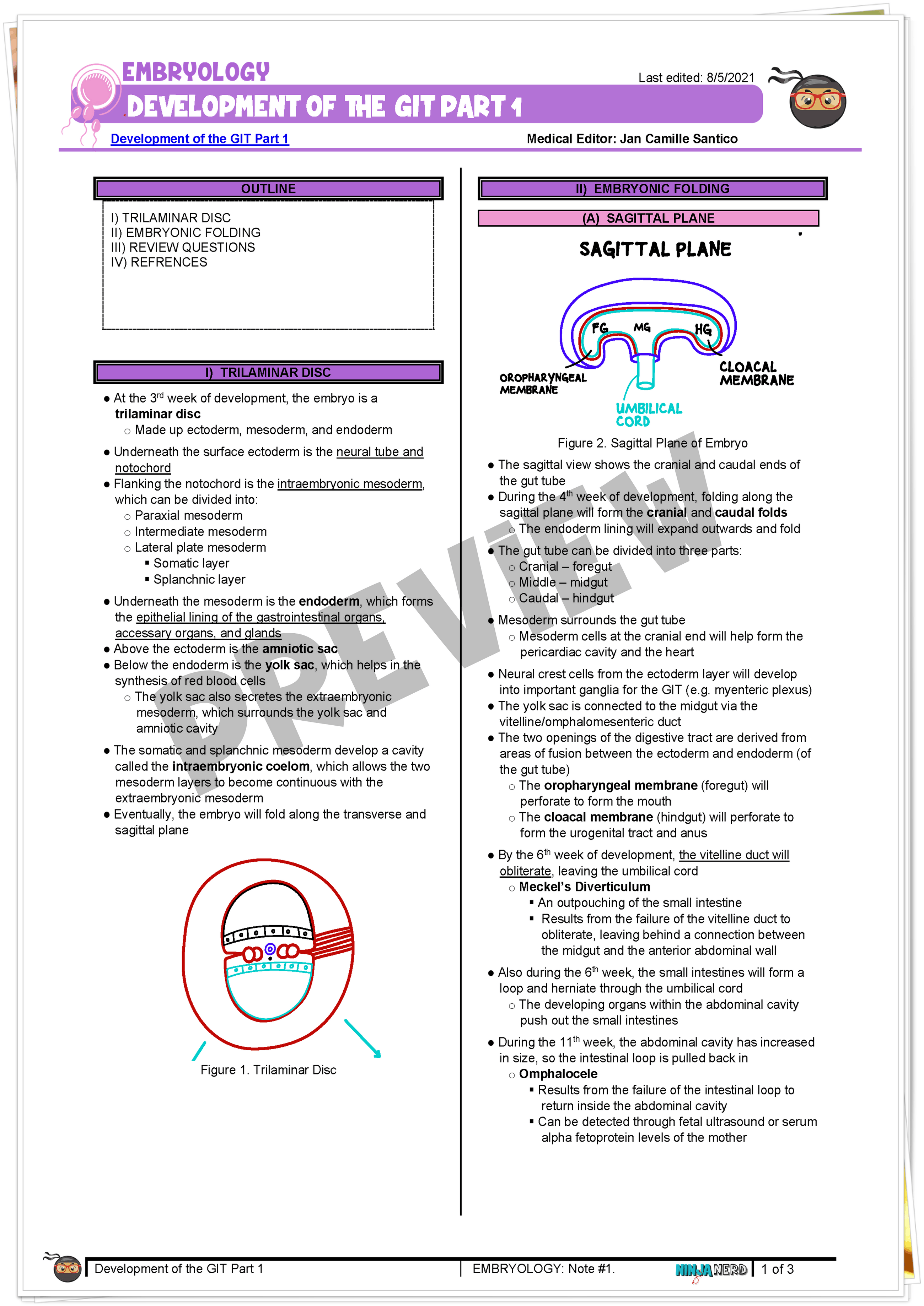 Development & Embryology of the GI Tract: Part 1 - Notes - NinjaNerd ...