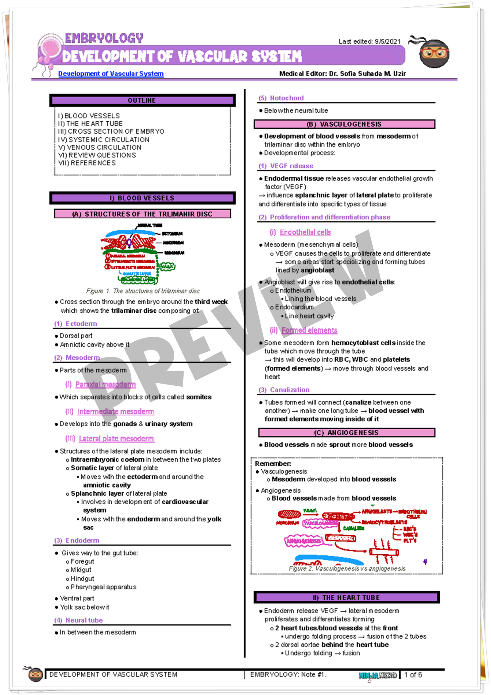 Development of Vascular System - Notes - NinjaNerd Medicine