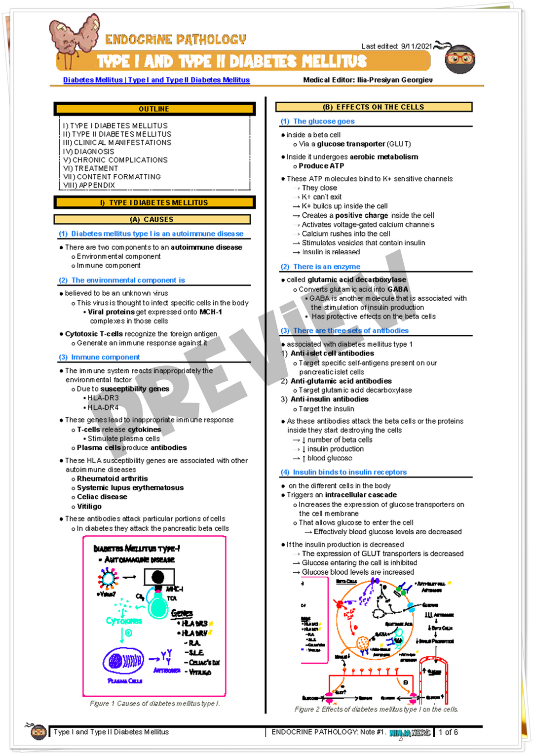 Diabetes Mellitus | Type I and Type II Diabetes Mellitus - Notes ...