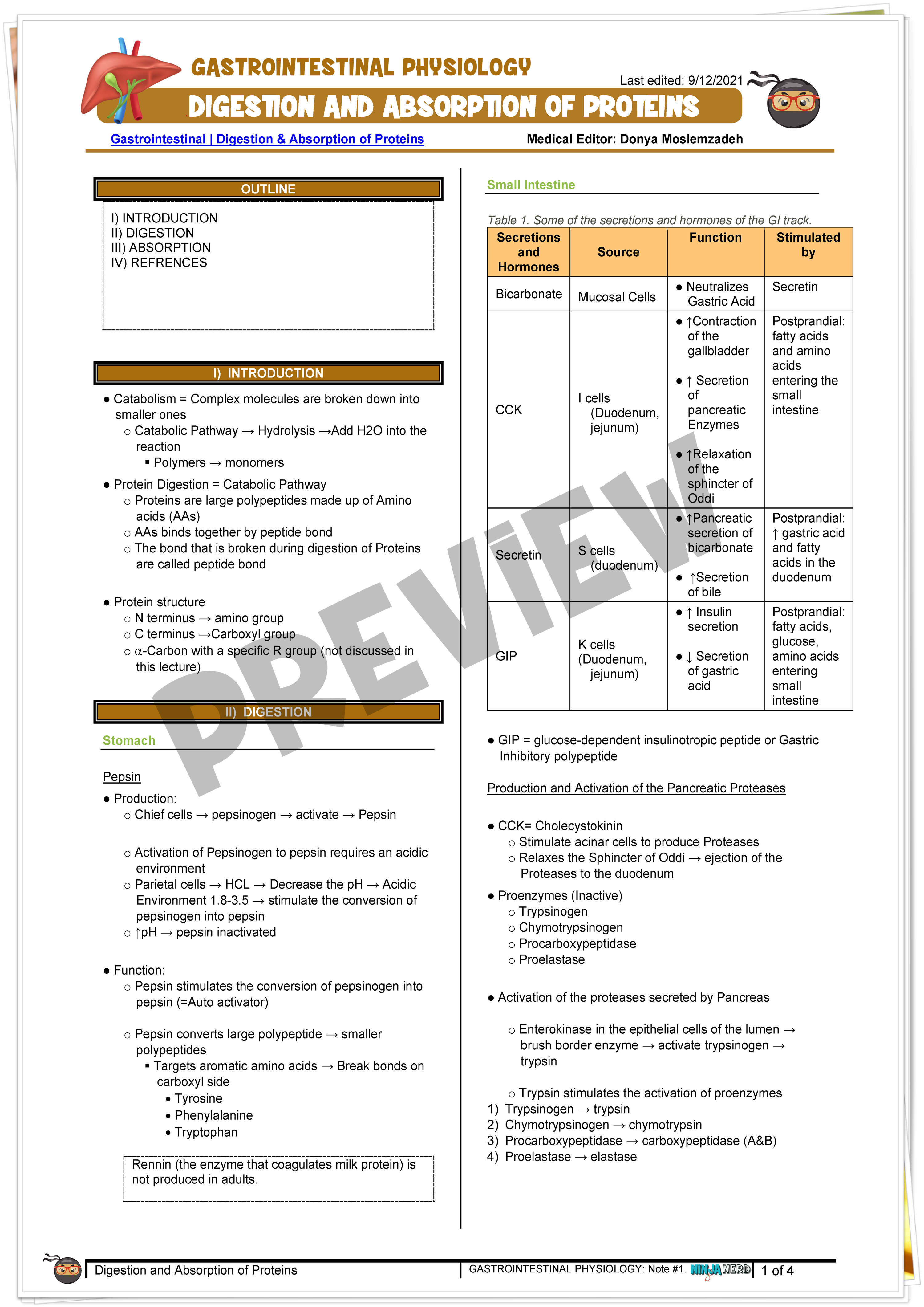 Digestion & Absorption of Proteins - Notes - NinjaNerd Medicine