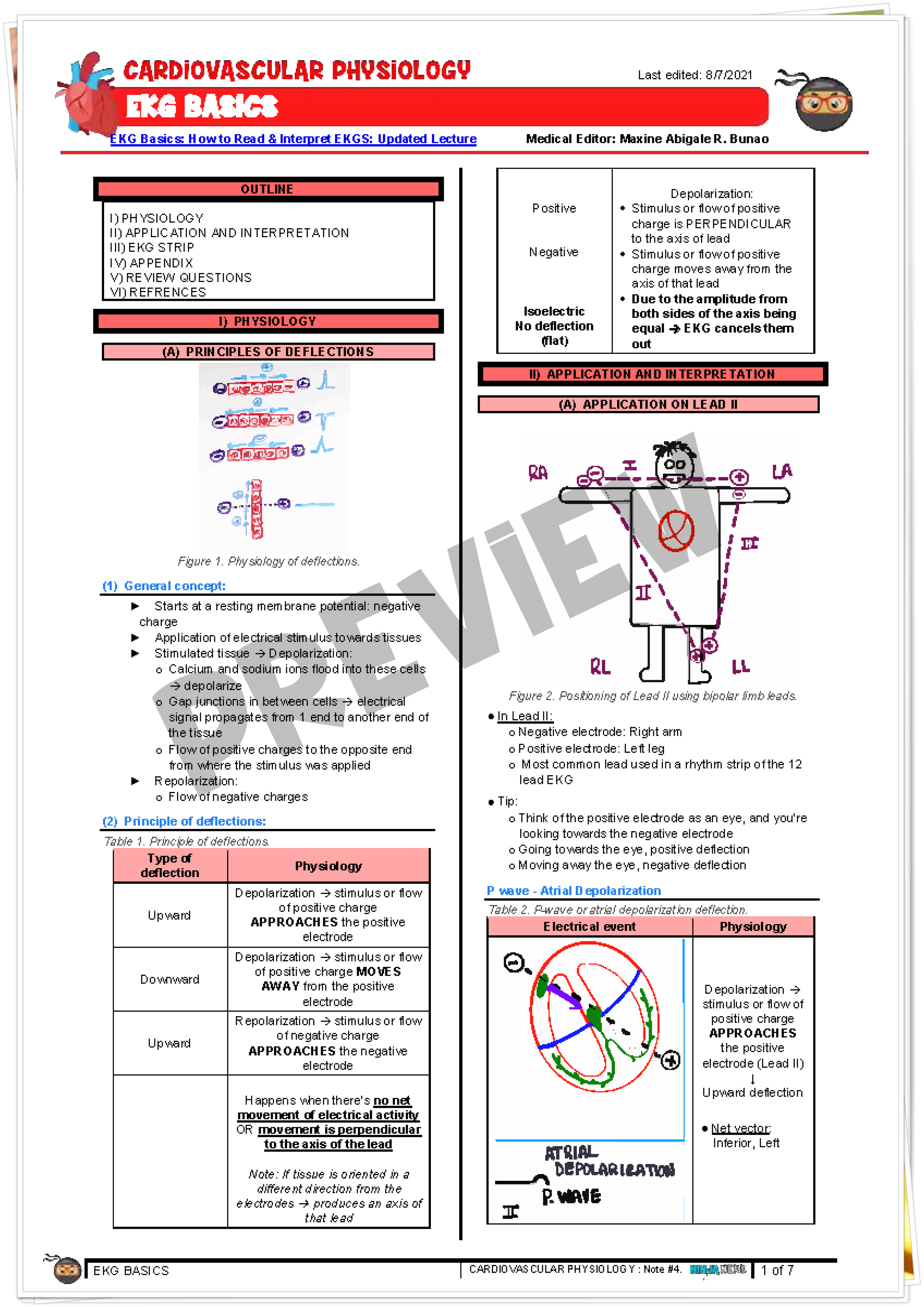 EKG Basics - How to Read & Interpret EKGs: Updated Lecture - Notes ...