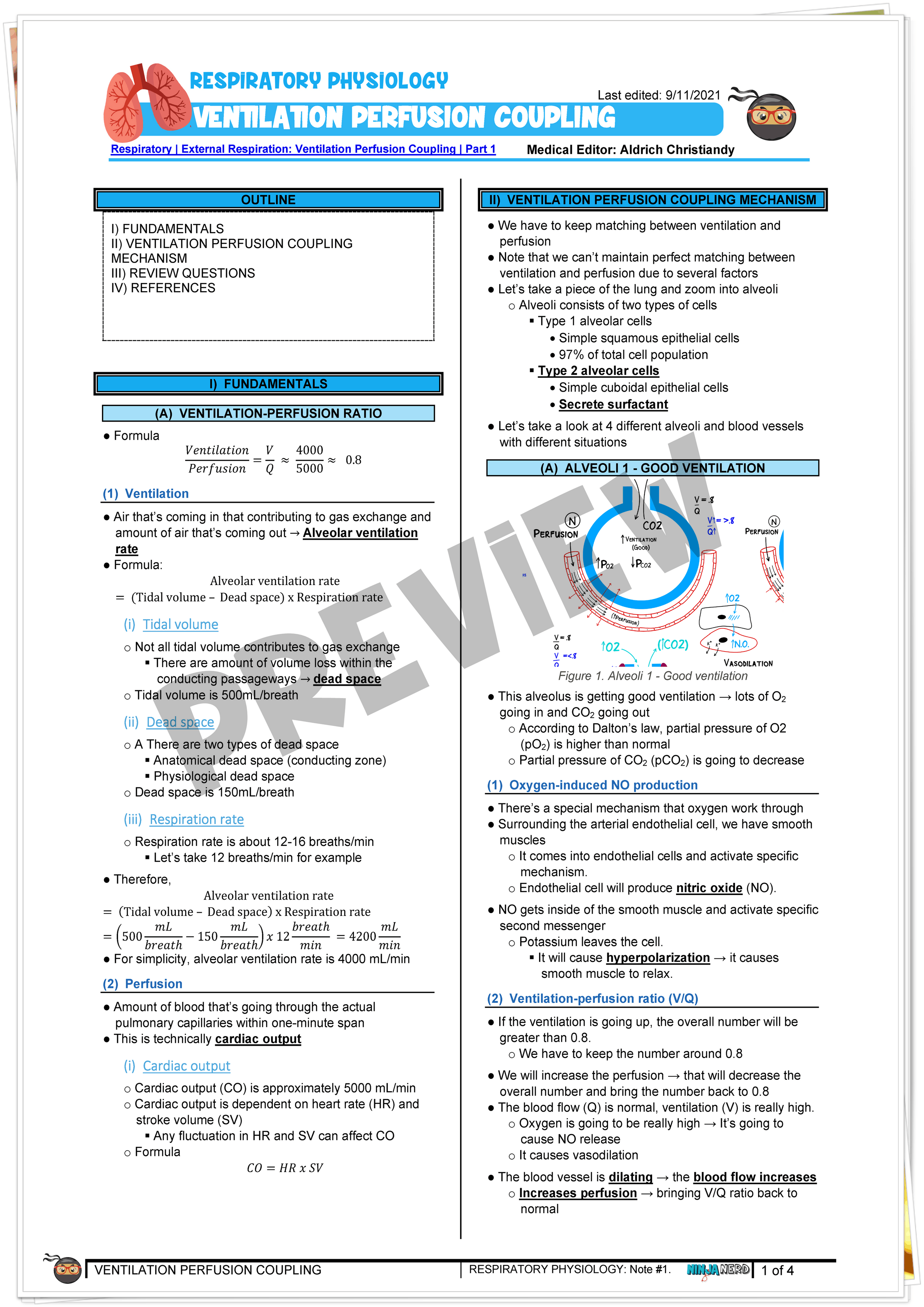External Respiration: Ventilation Perfusion Coupling - Notes ...