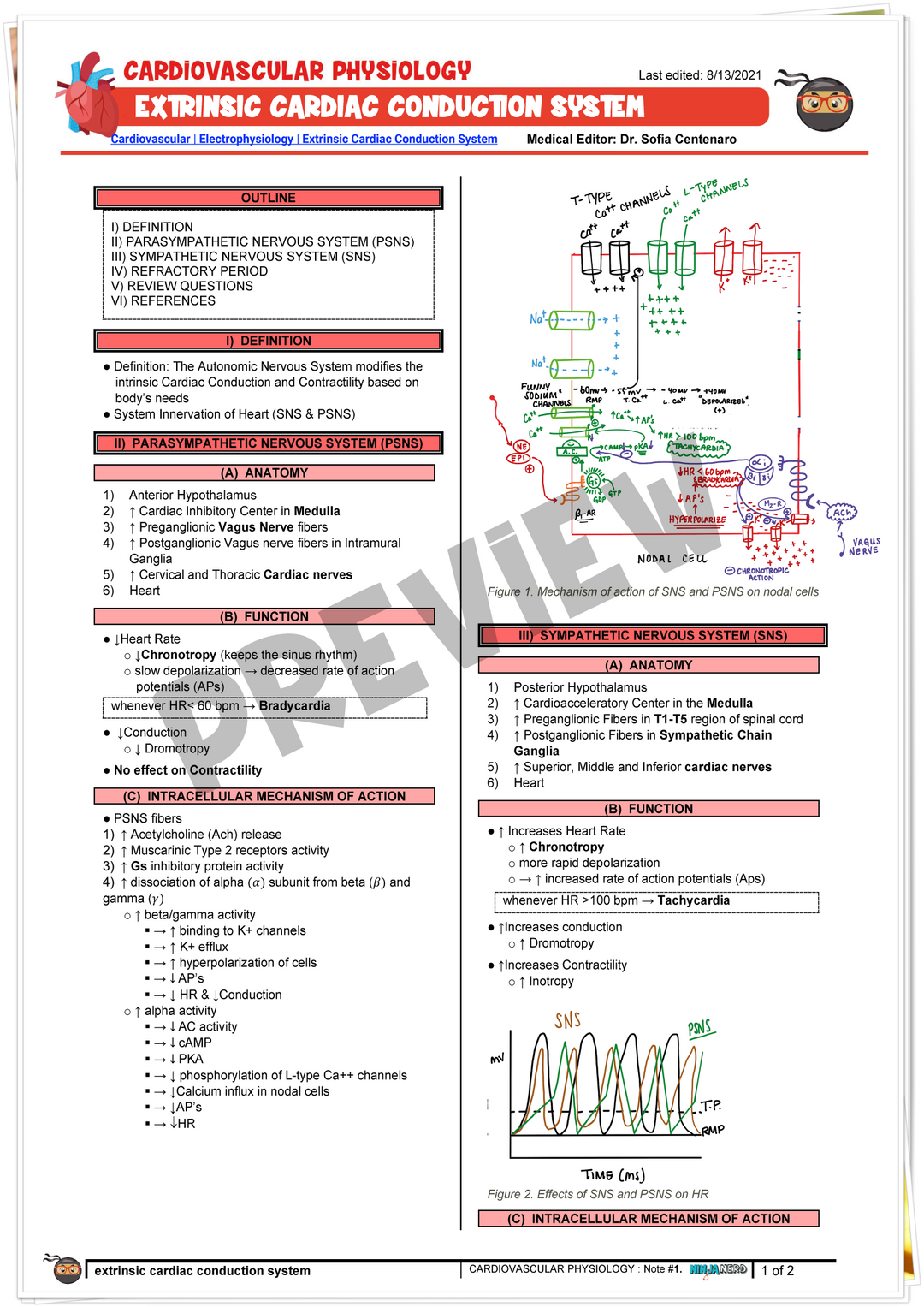 Extrinsic Cardiac Conduction System - Notes - NinjaNerd Medicine