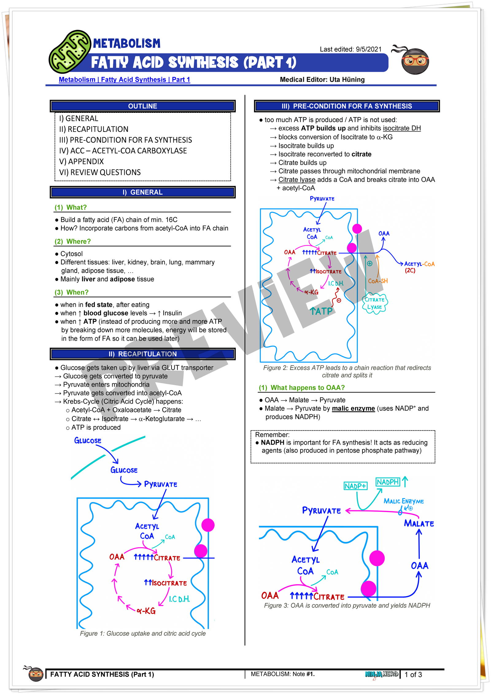 Fatty Acid Synthesis: Part 1 - Notes - NinjaNerd Medicine