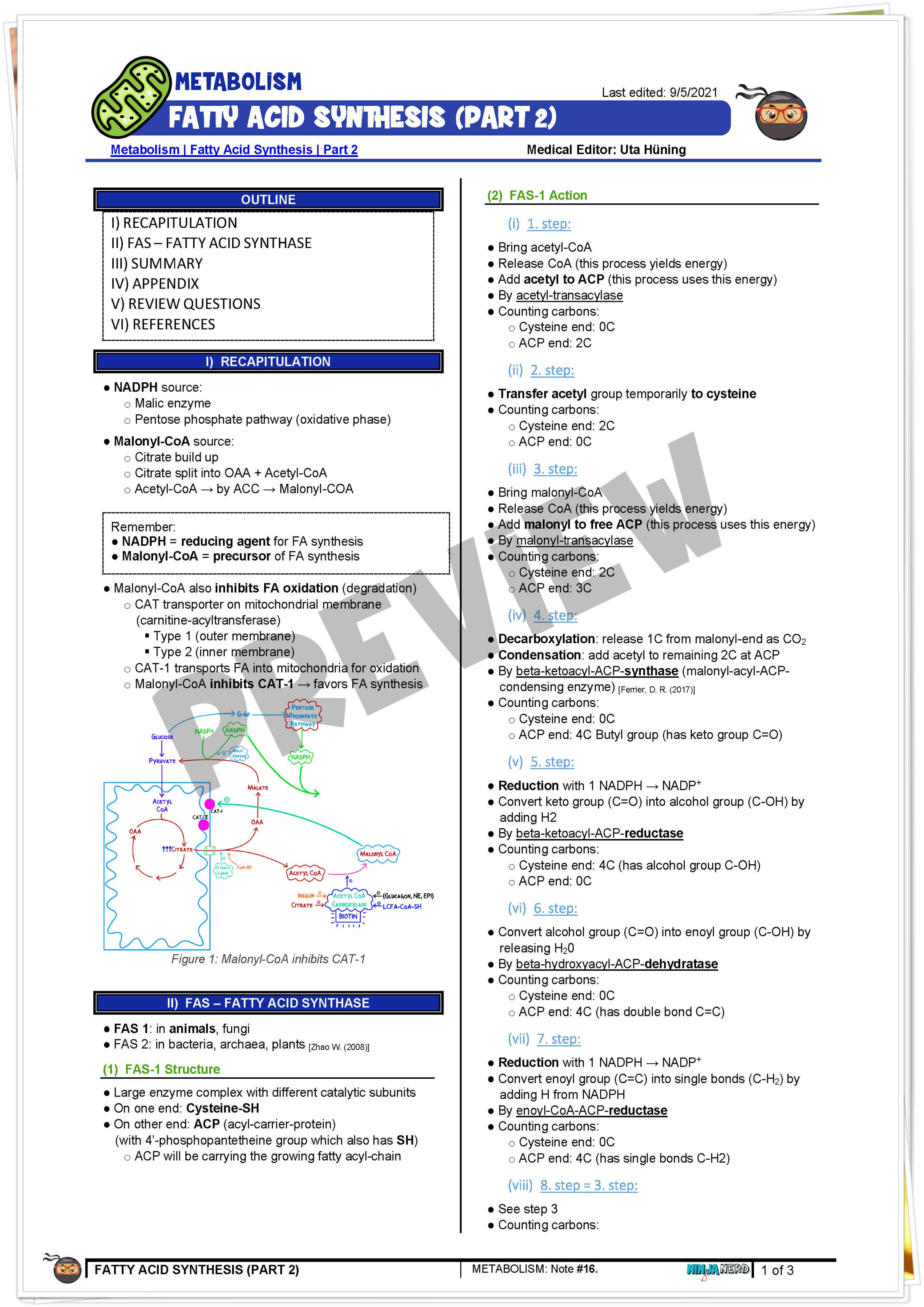 Fatty Acid Synthesis: Part 2 - Notes - NinjaNerd Medicine