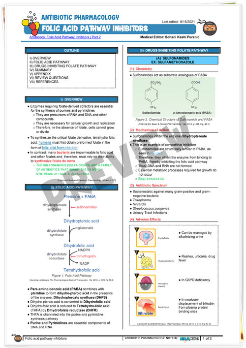 Folic Acid Pathway Inhibitors: Part 2 - Notes - NinjaNerd Medicine