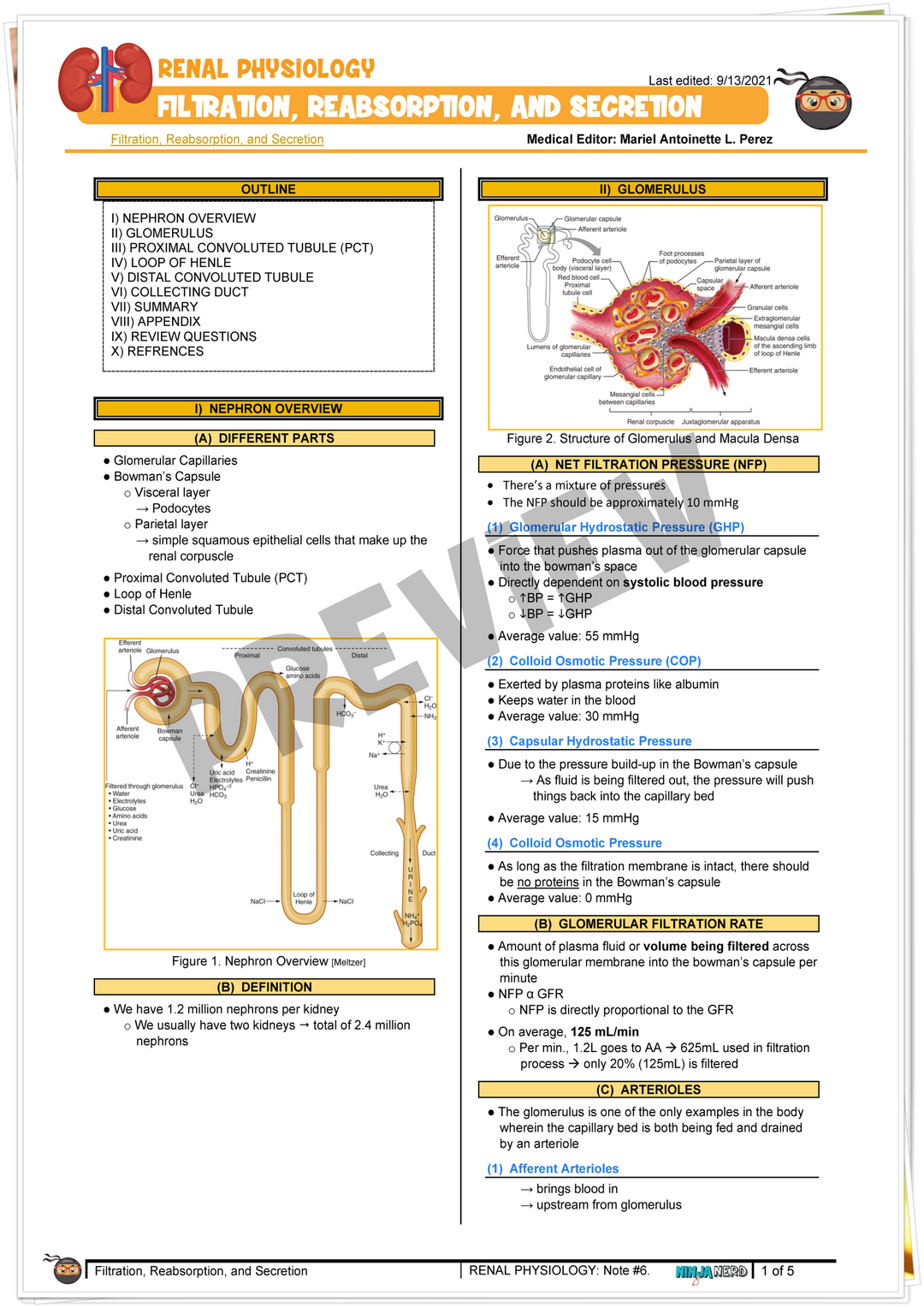Filtration, Reabsorption, and Secretion: Overview - Notes - NinjaNerd ...