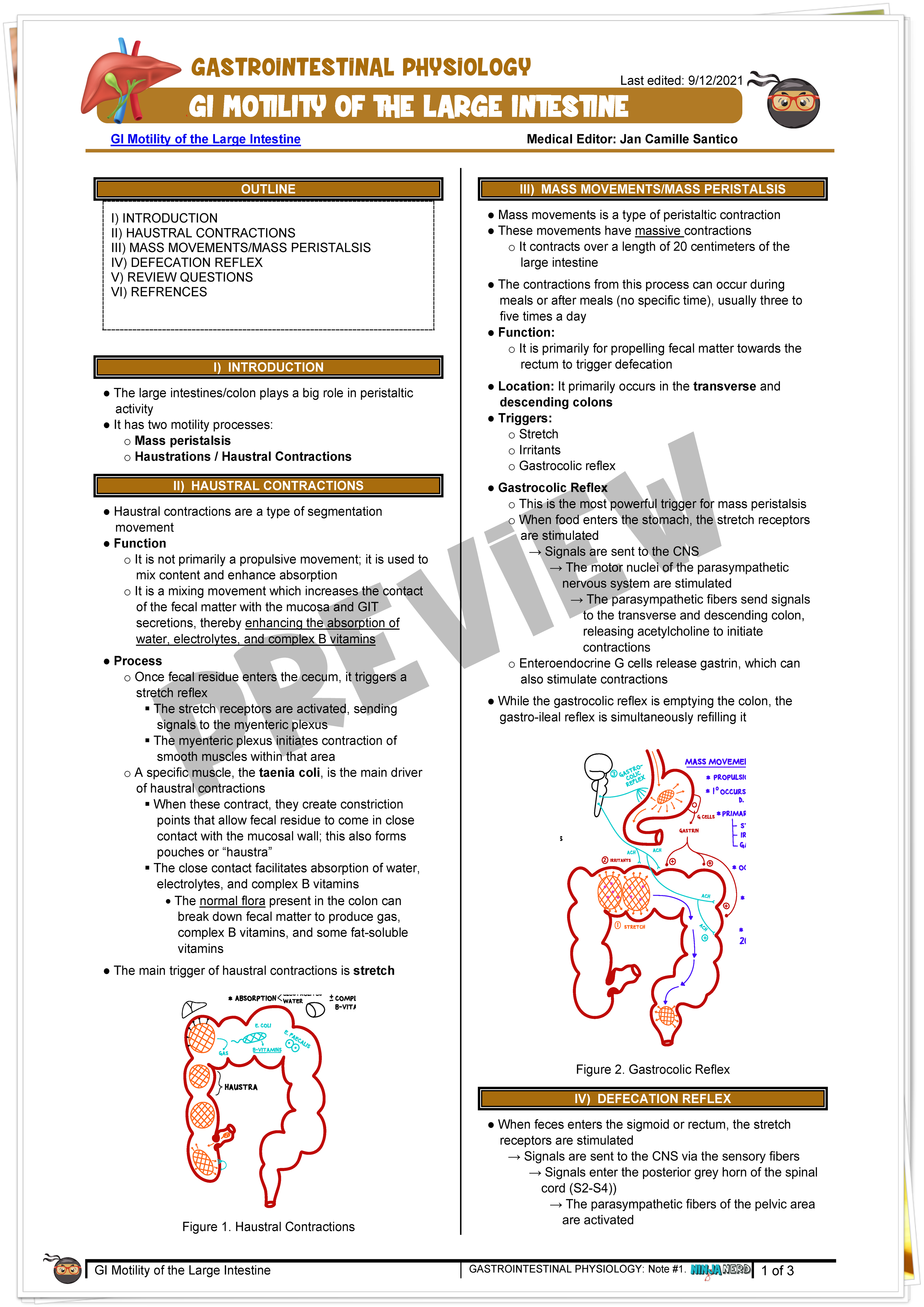 GI Motility of the Large Intestine - Notes - NinjaNerd Medicine