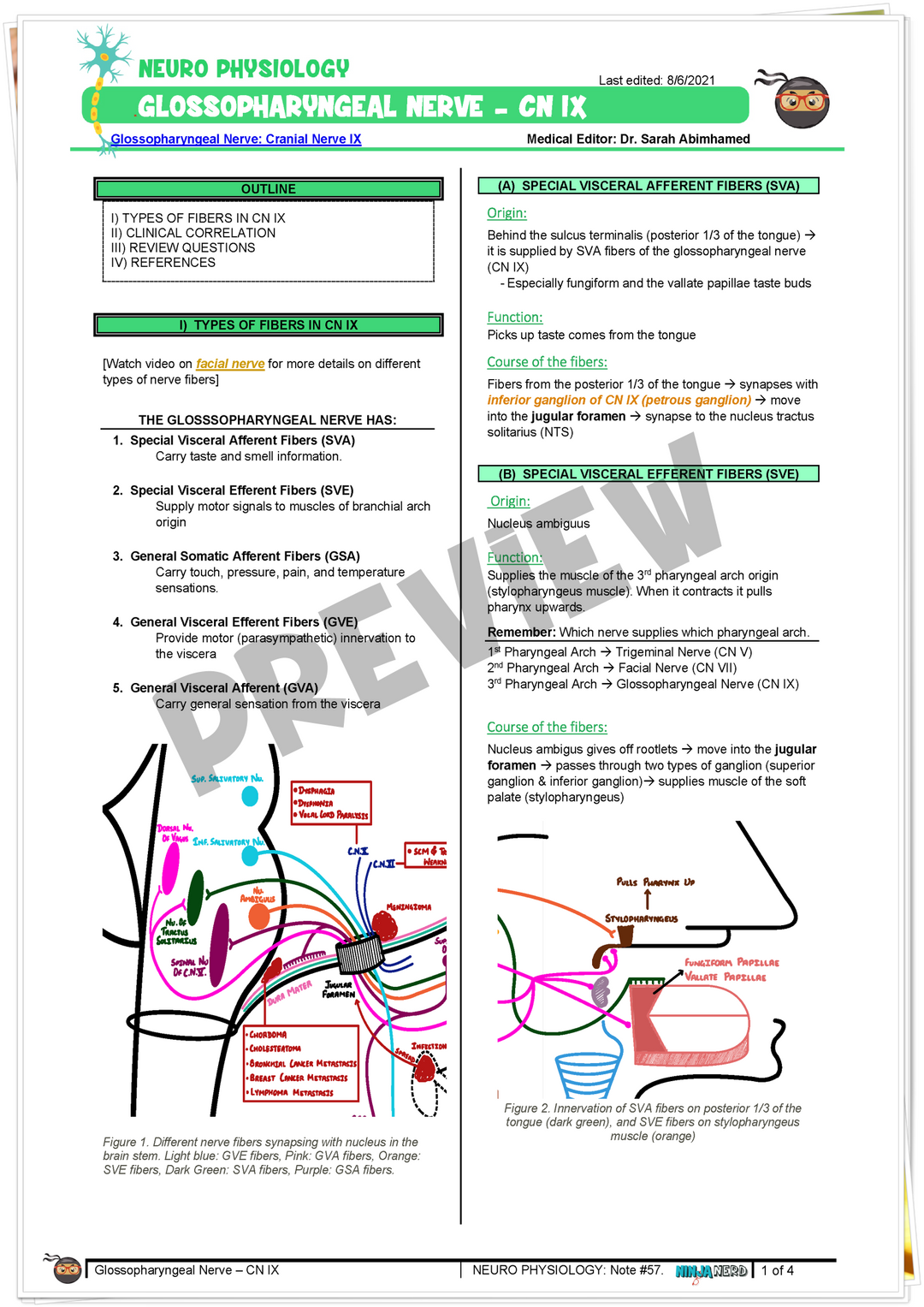 Glossopharyngeal Nerve: Cranial Nerve IX - Notes - NinjaNerd Medicine