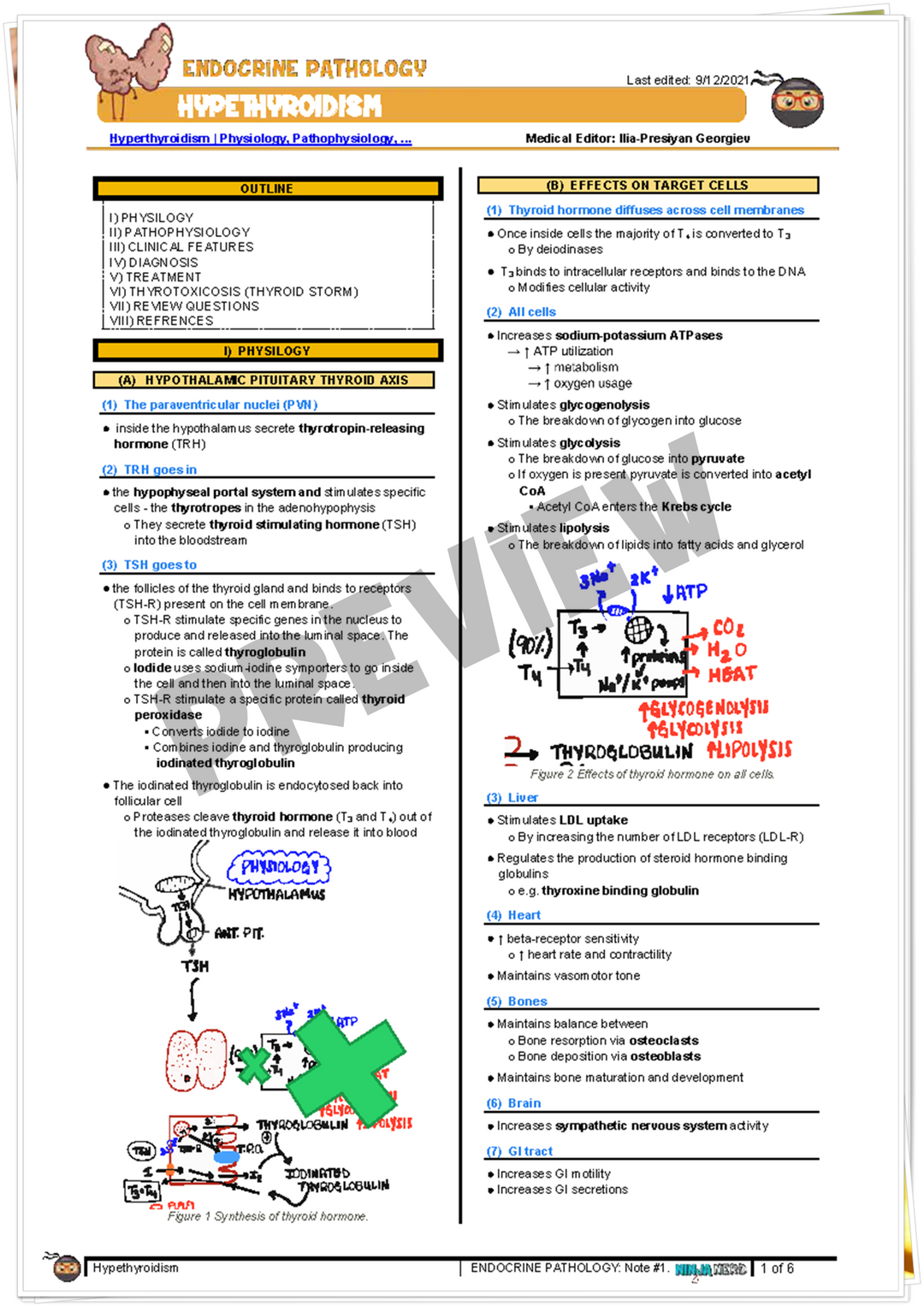 Hyperthyroidism | Physiology, Pathophysiology, Diagnosis, Treatment ...
