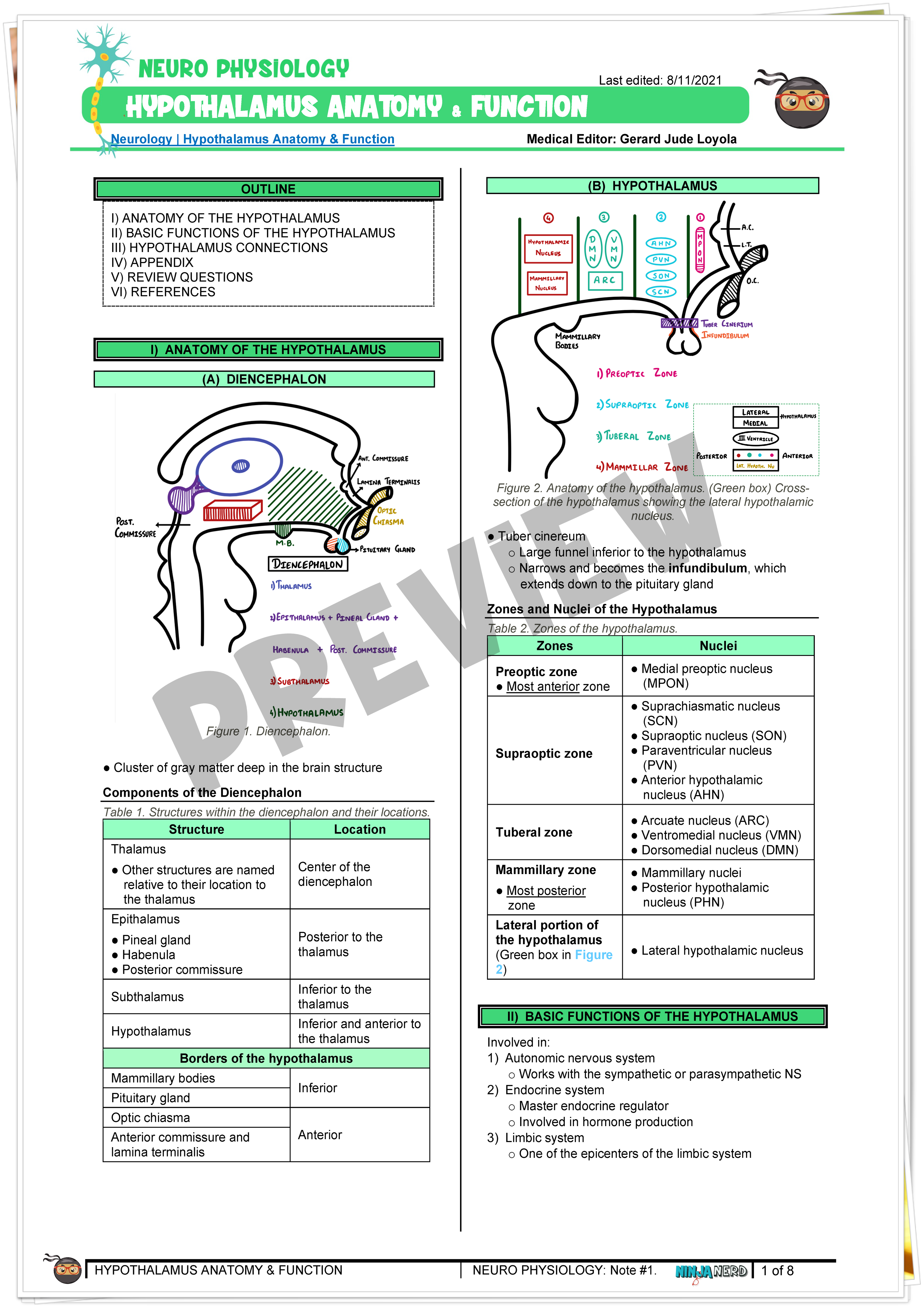 Hypothalamus Anatomy & Function - Notes - NinjaNerd Medicine