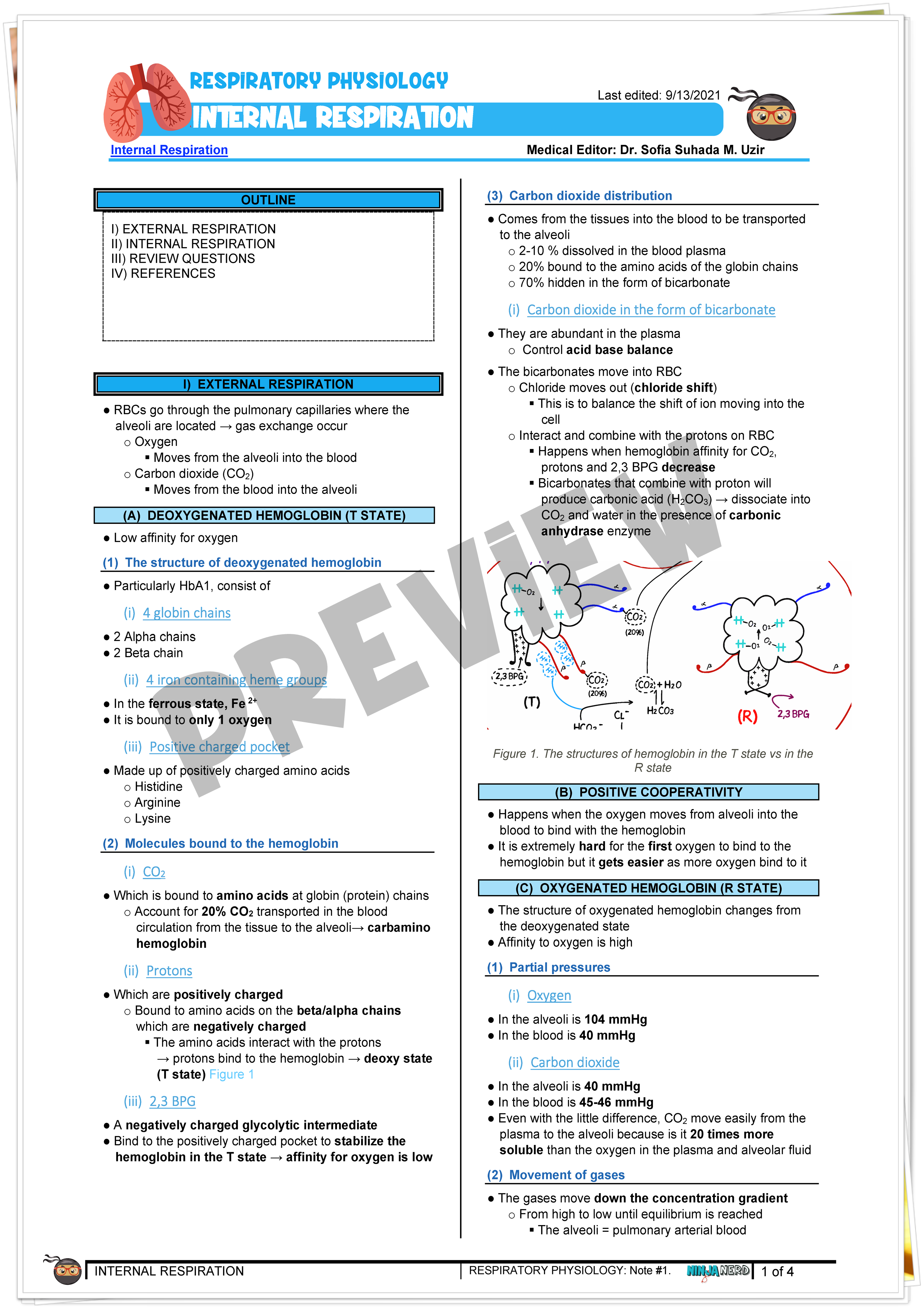 Internal Respiration - Notes - NinjaNerd Medicine