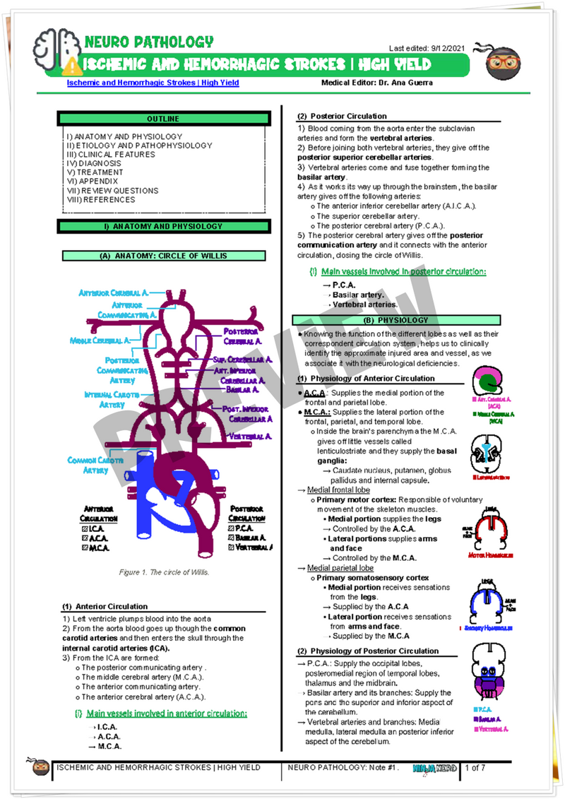 Ischemic and Hemorrhagic Strokes | High Yield - Notes - NinjaNerd Medicine