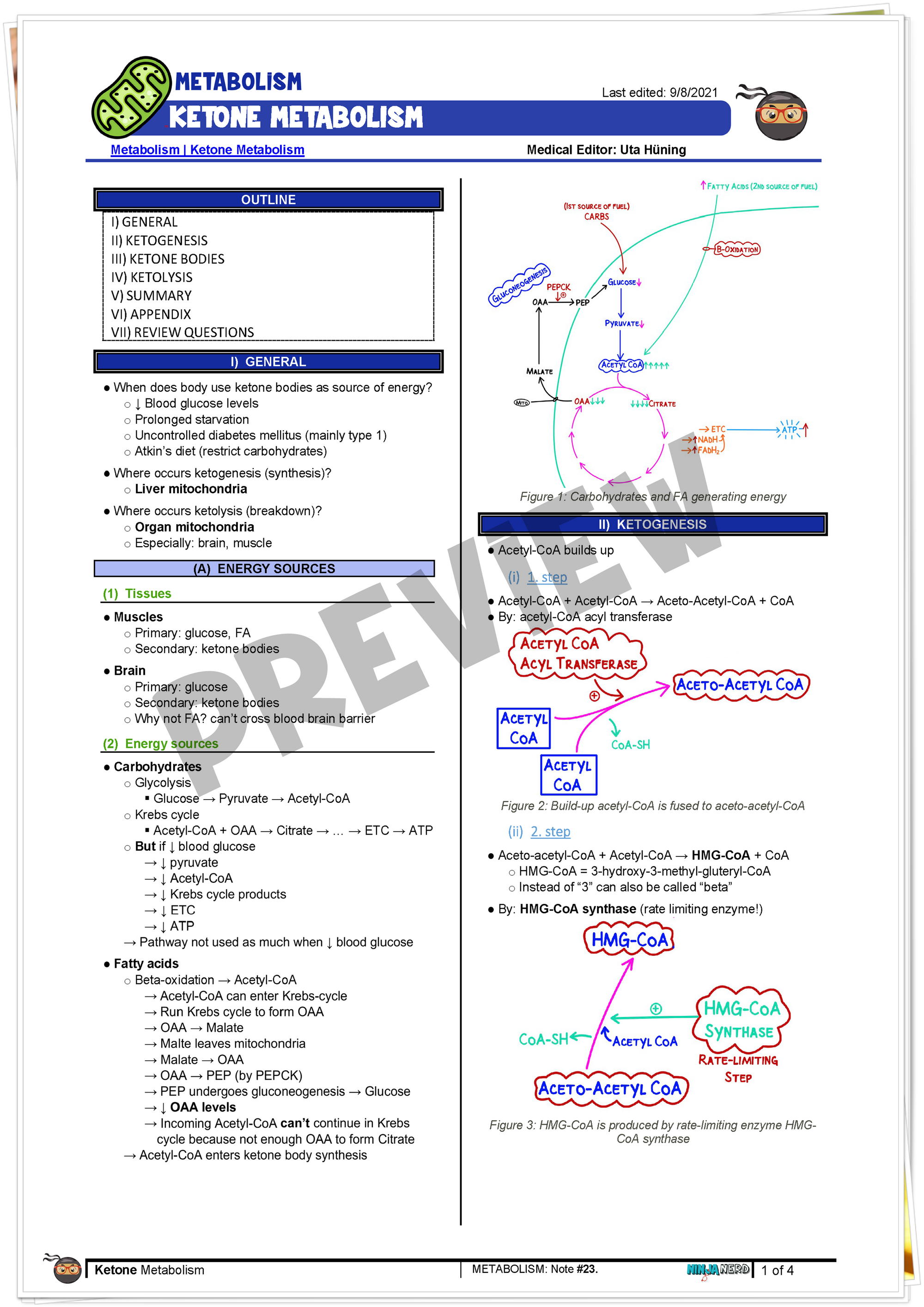Ketone Metabolism - Notes - NinjaNerd Medicine