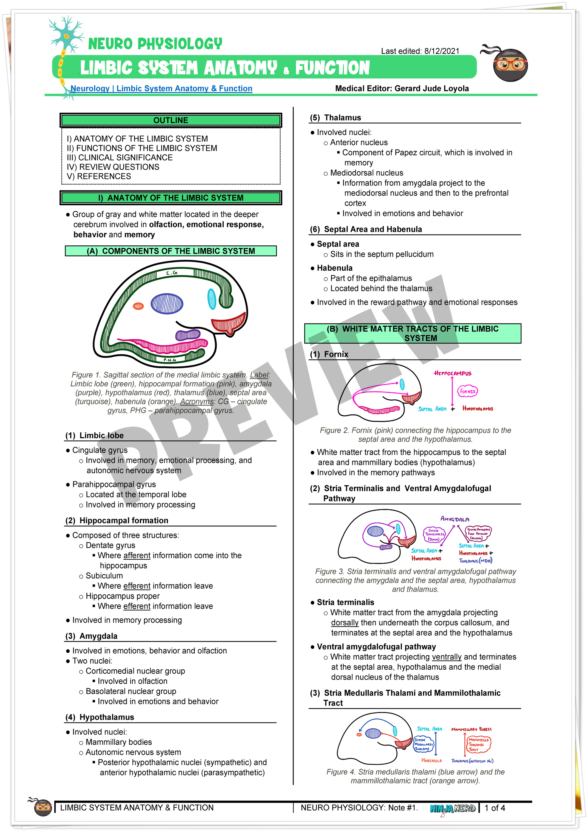 Limbic System Anatomy & Function - Notes - NinjaNerd Medicine