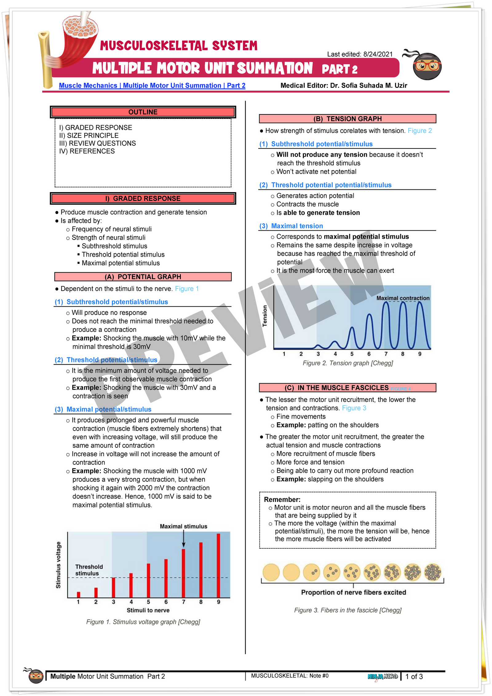 Muscle Mechanics | Multiple Motor Unit Summation - Notes - NinjaNerd ...