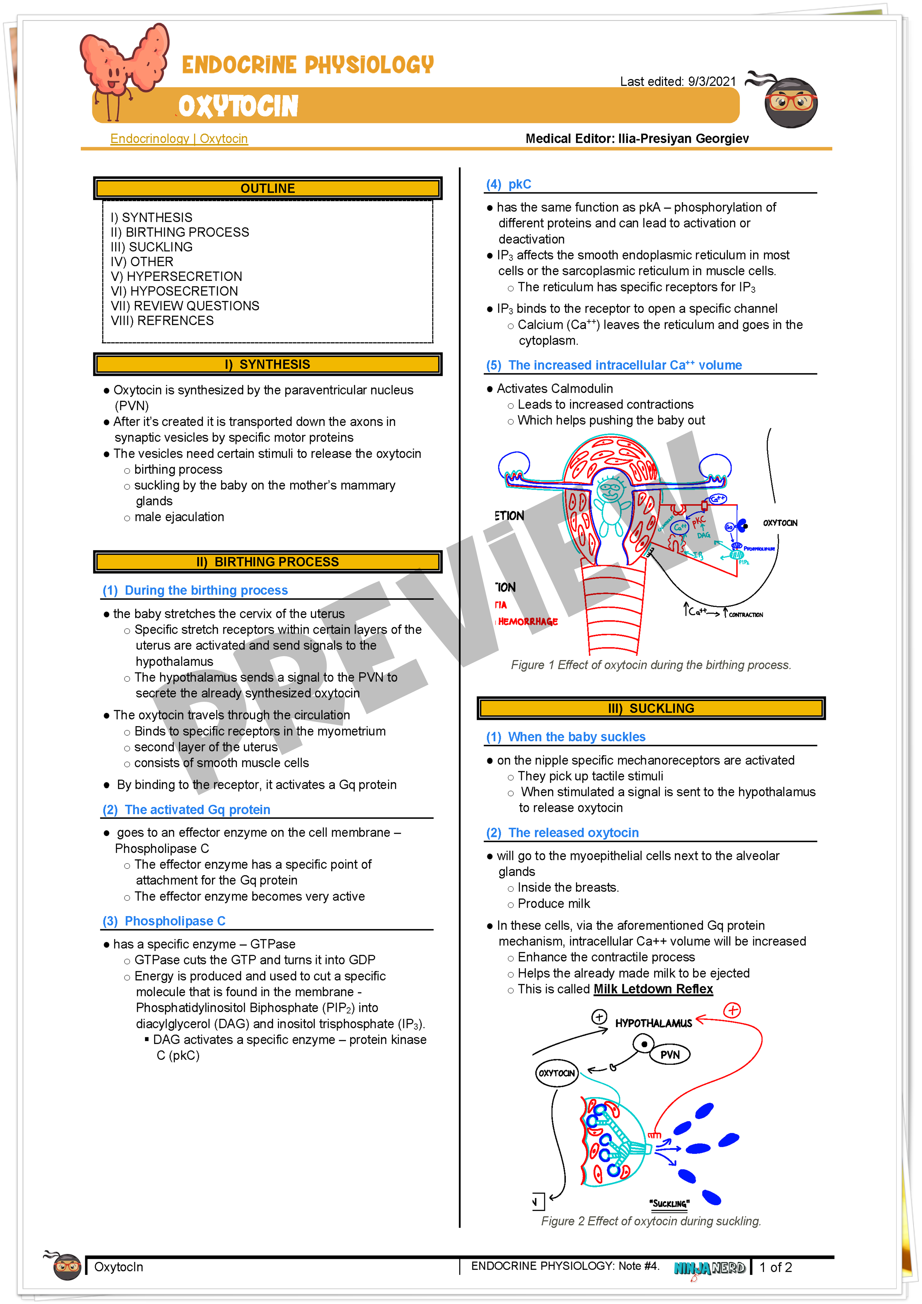 Oxytocin - Notes - NinjaNerd Medicine