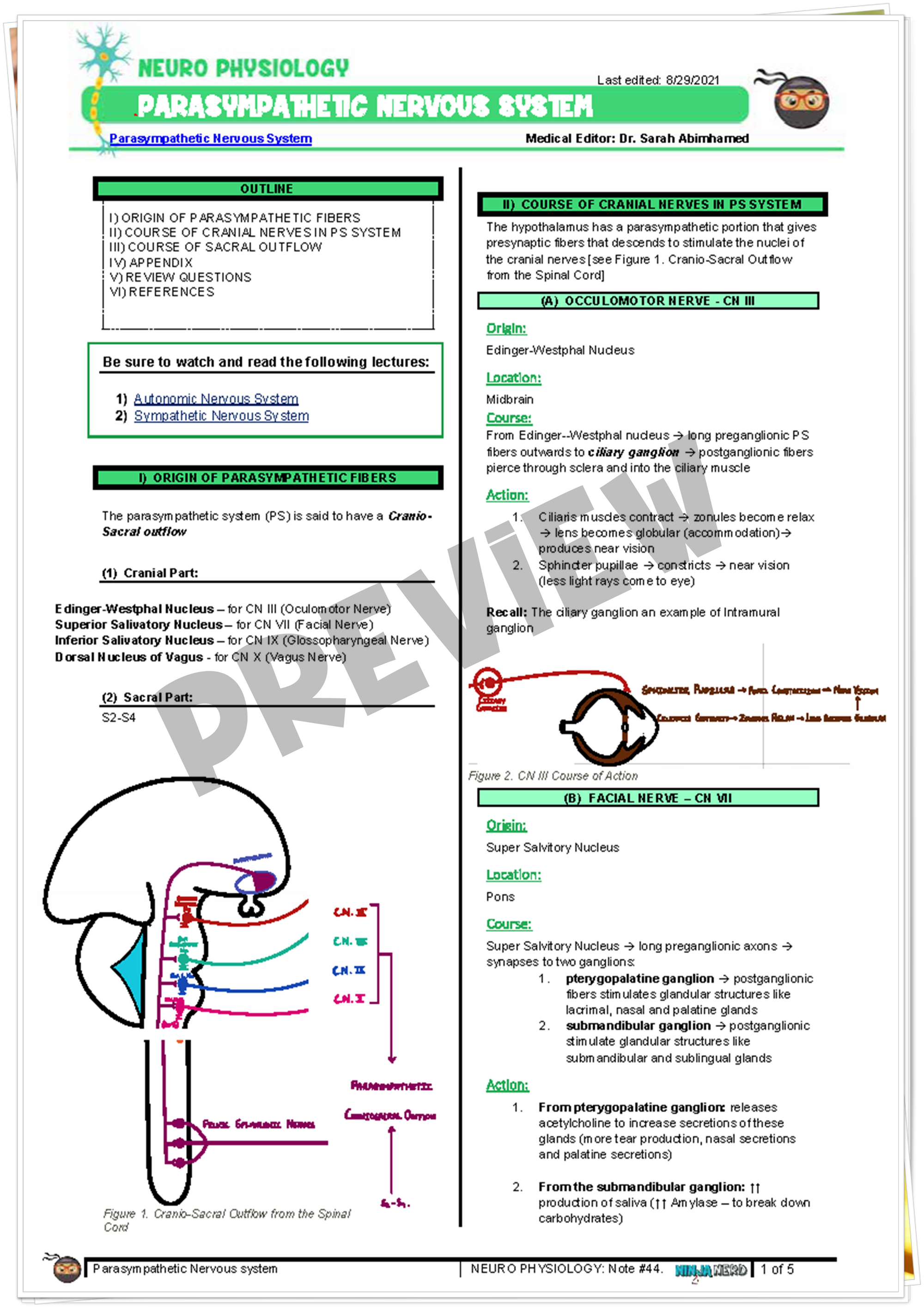 Parasympathetic Nervous System - Notes - NinjaNerd Medicine