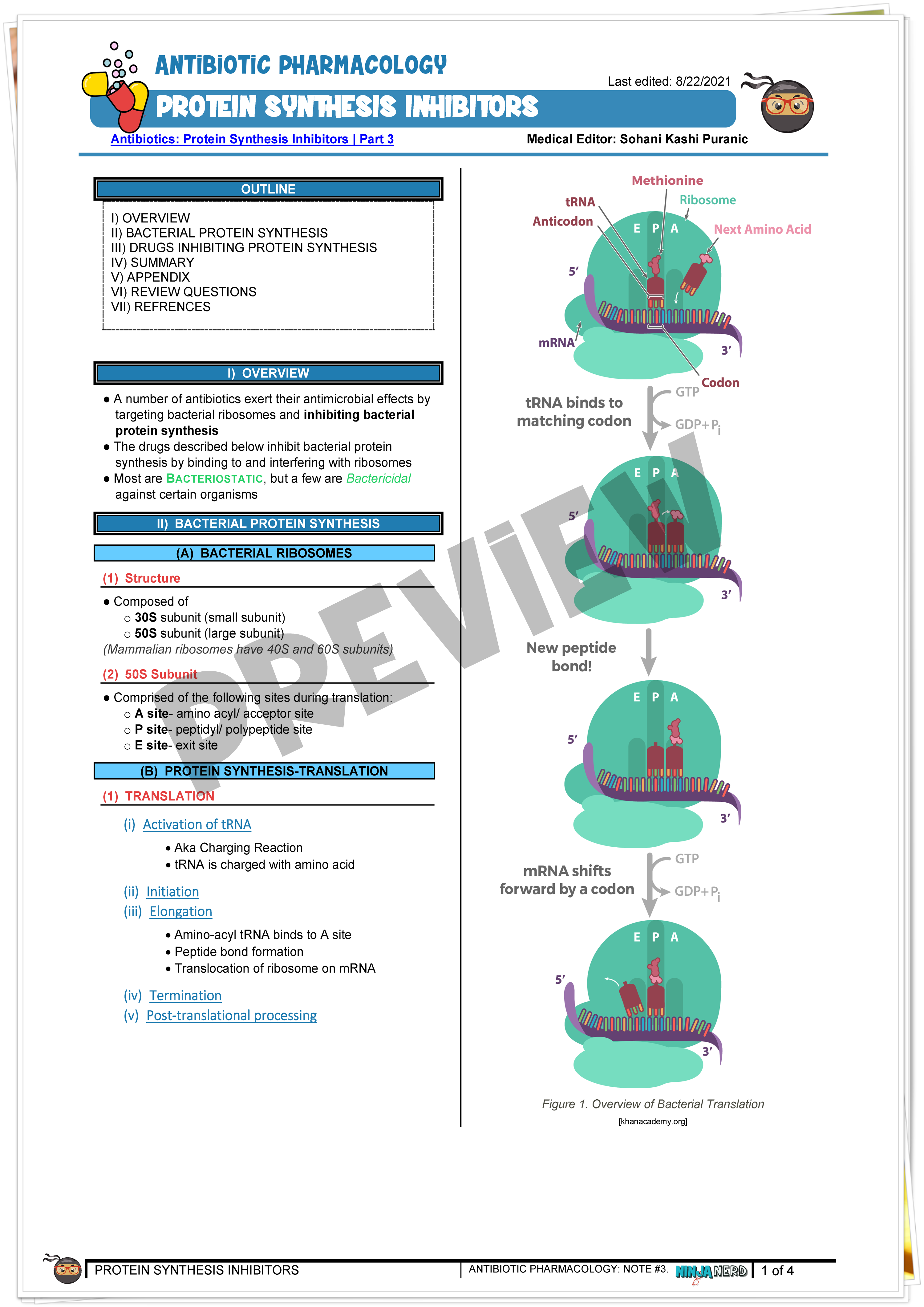 Protein Synthesis Inhibitors: Part 3 - Notes - NinjaNerd Medicine