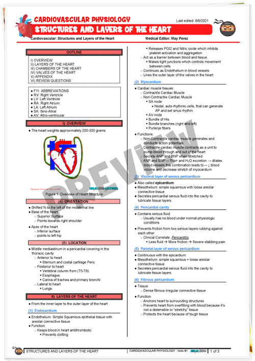 Structures and Layers of the Heart - Notes - NinjaNerd Medicine