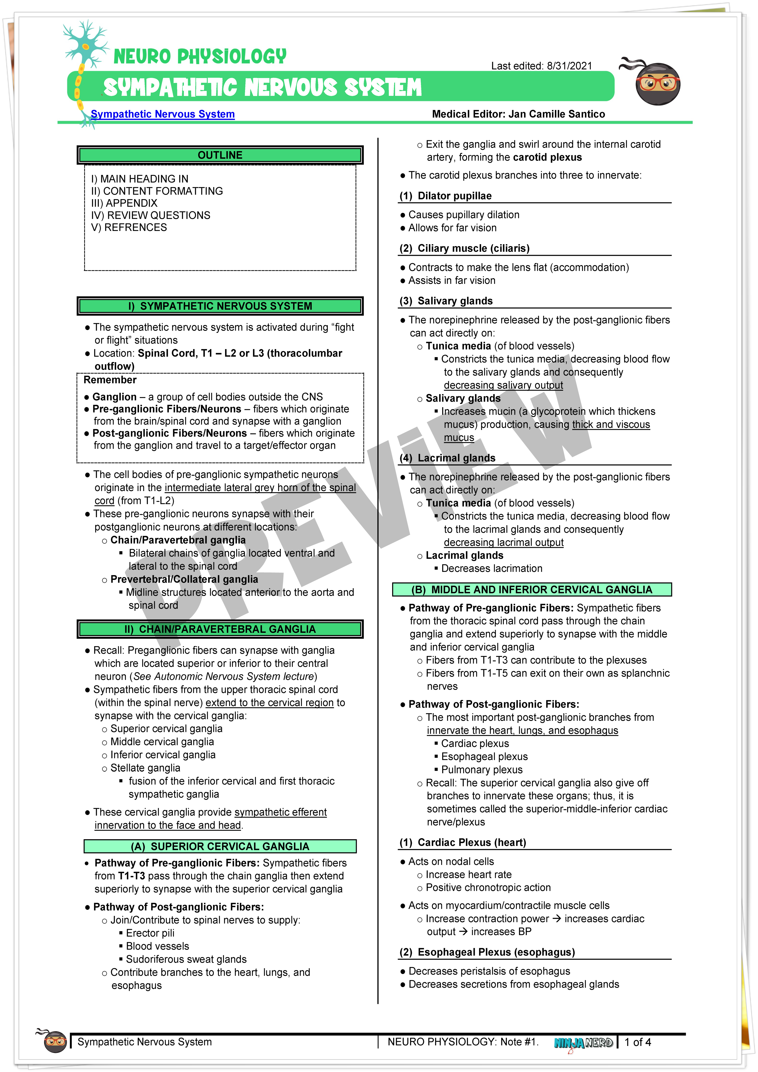 Sympathetic Nervous System - Notes - NinjaNerd Medicine