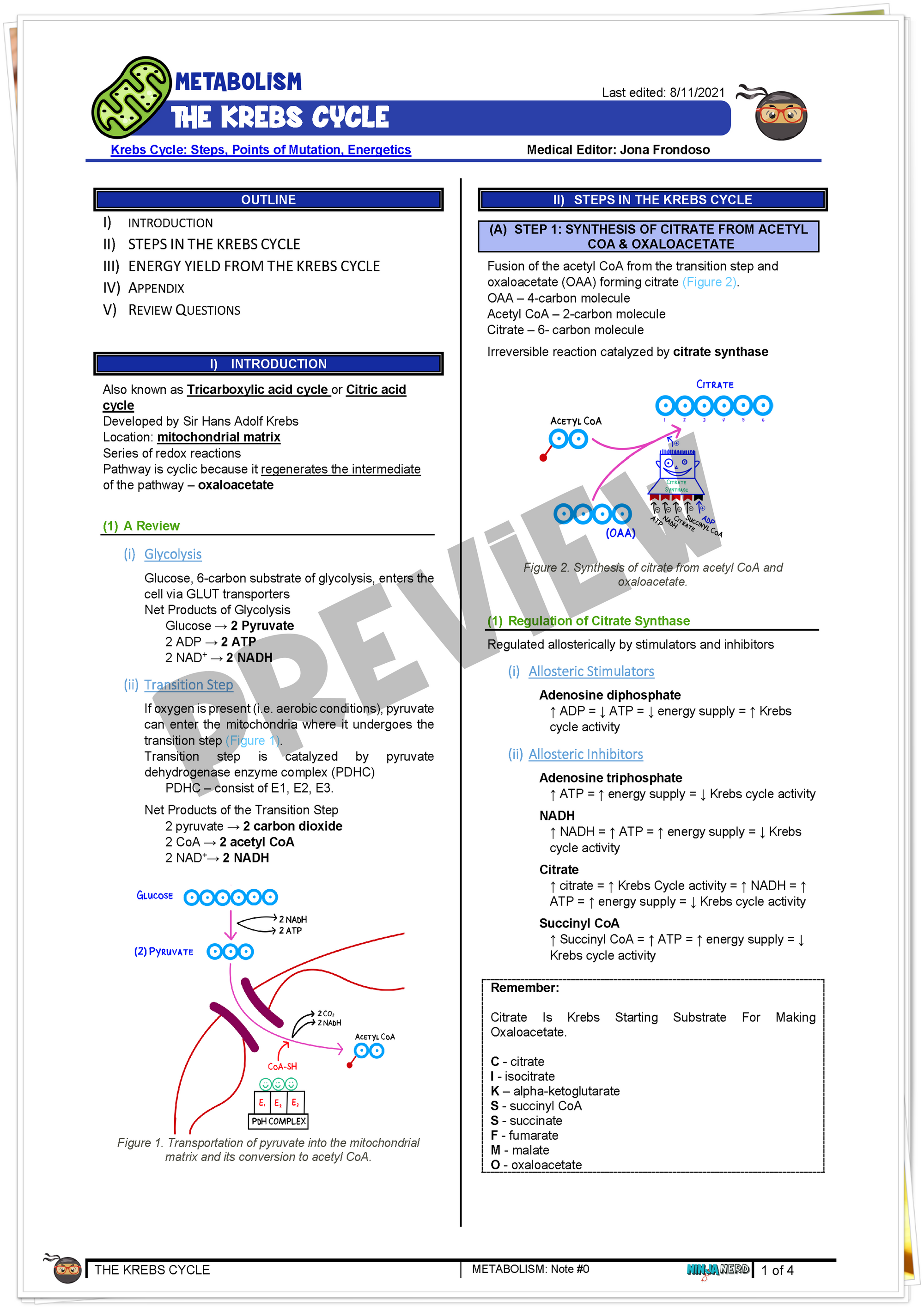 The Krebs Cycle - Notes - NinjaNerd Medicine