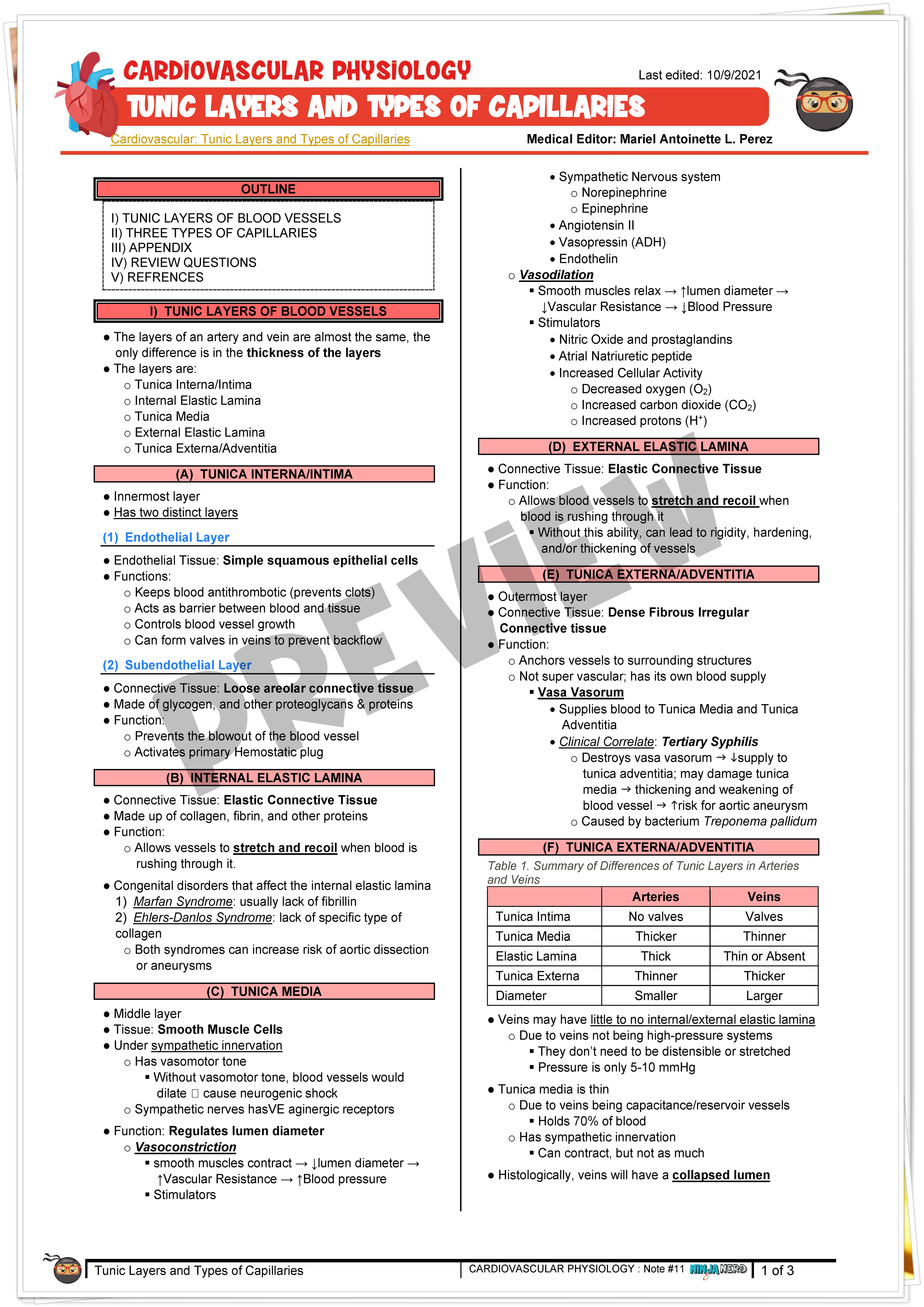 Tunic Layers & Types of Capillaries - Notes - NinjaNerd Medicine