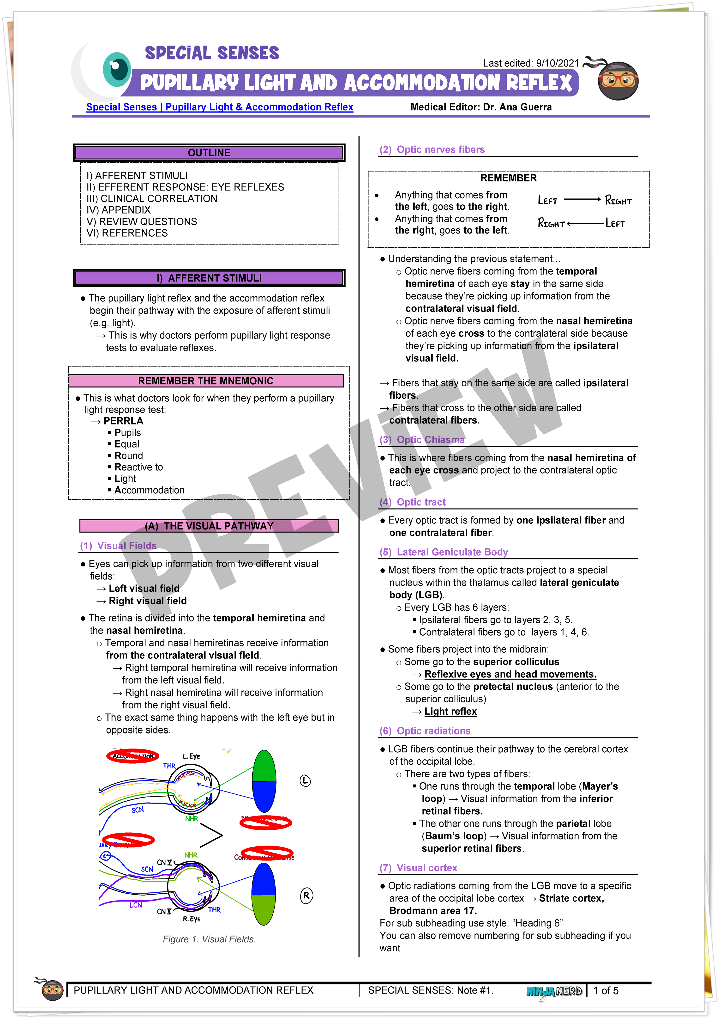 Pupillary Light & Accommodation Reflex - Notes - NinjaNerd Medicine