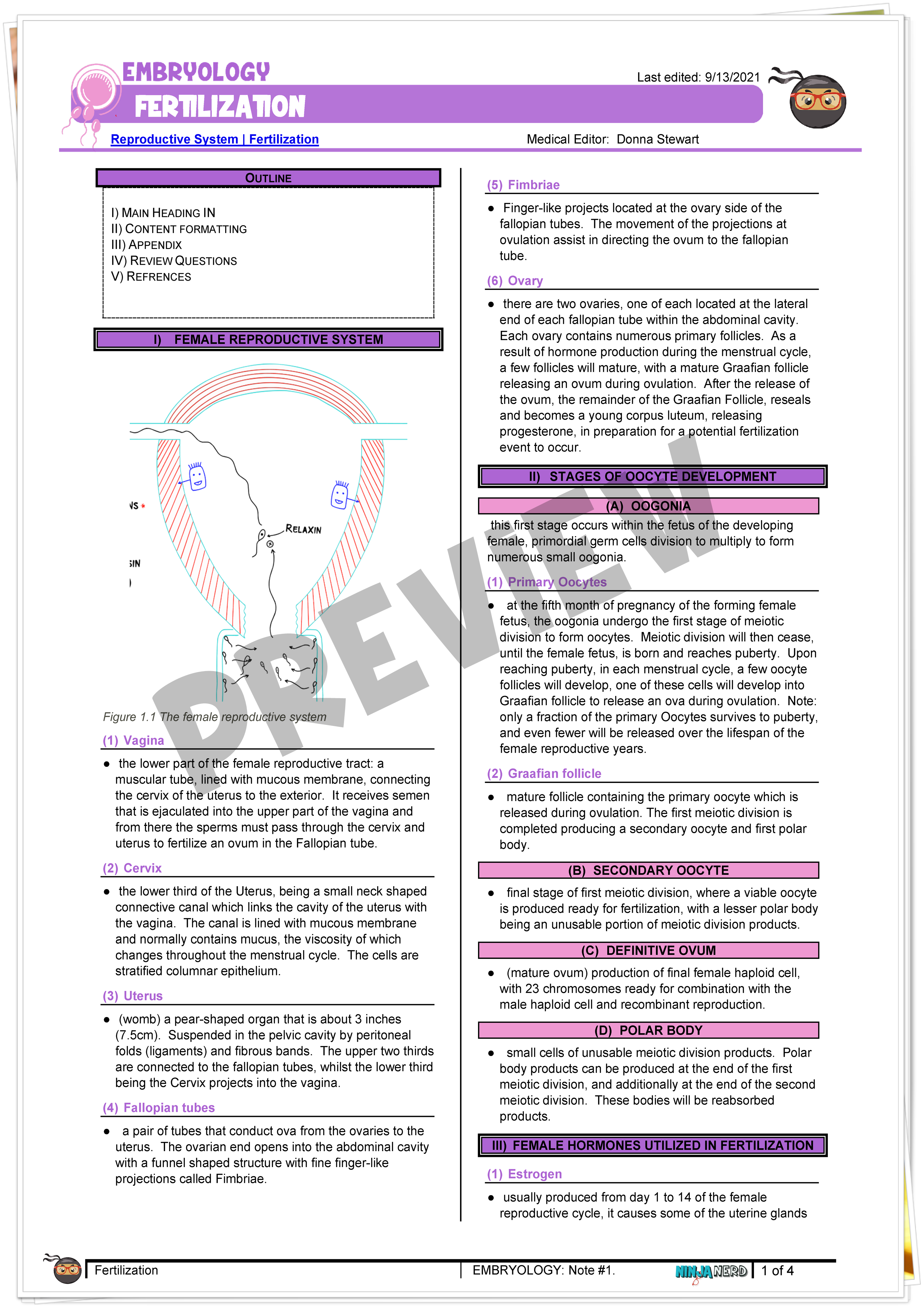 Reproductive System | Fertilization - Notes - NinjaNerd Medicine