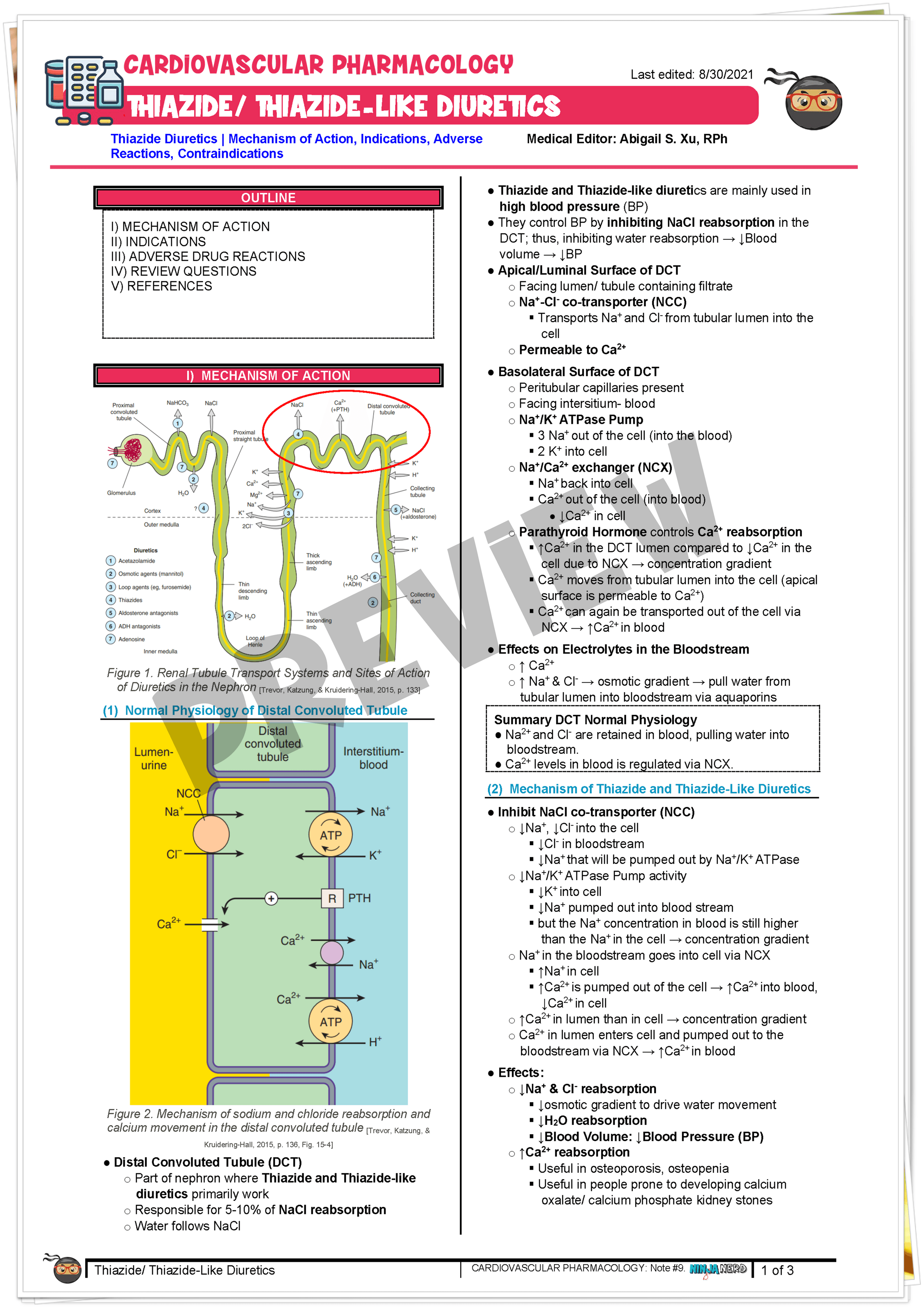 Thiazide Diuretics | Mechanism of Action, Indications, Adverse ...