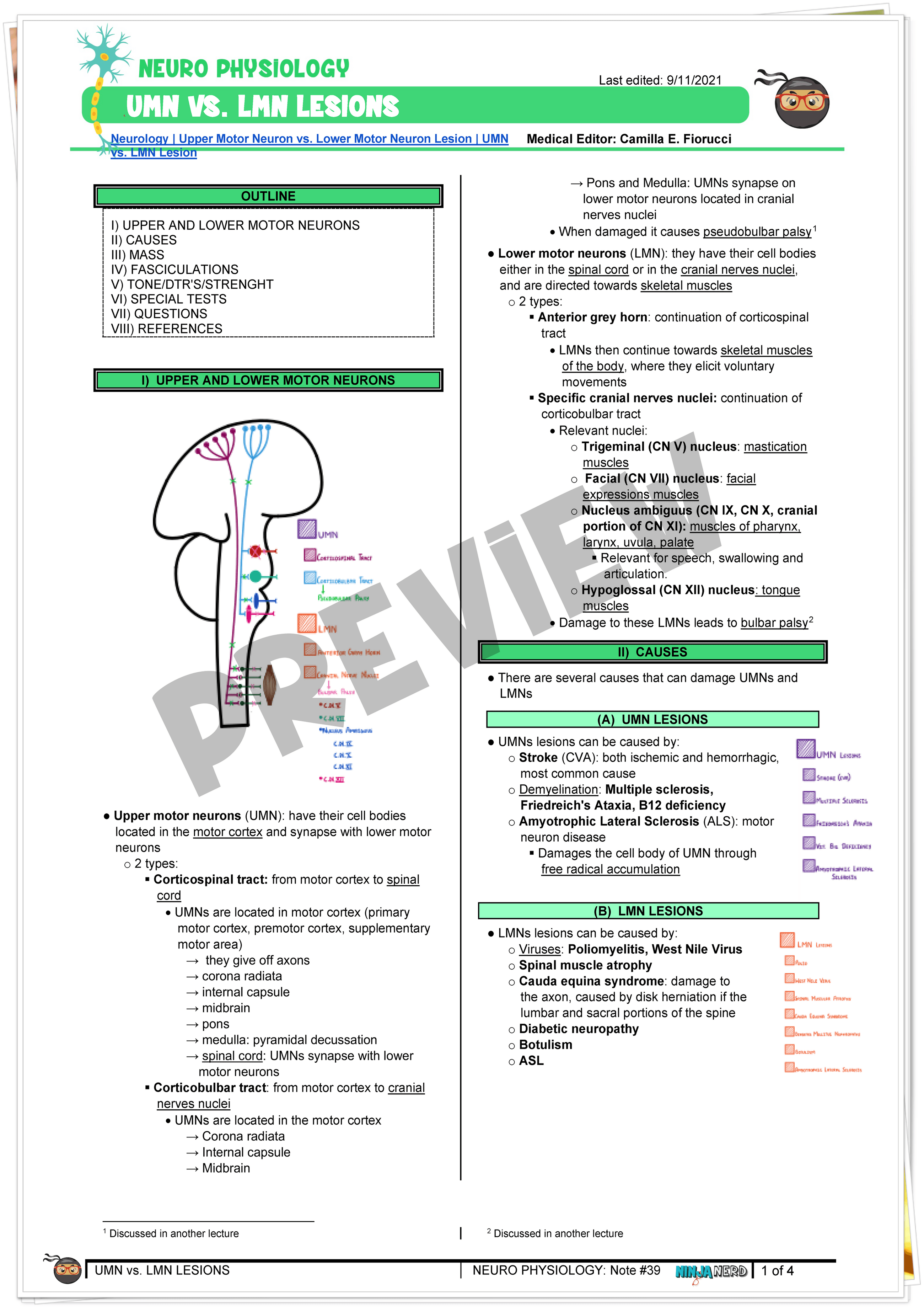 Upper Motor Neuron vs Lower Motor Neuron Lesion | UMN vs LMN Lesion ...