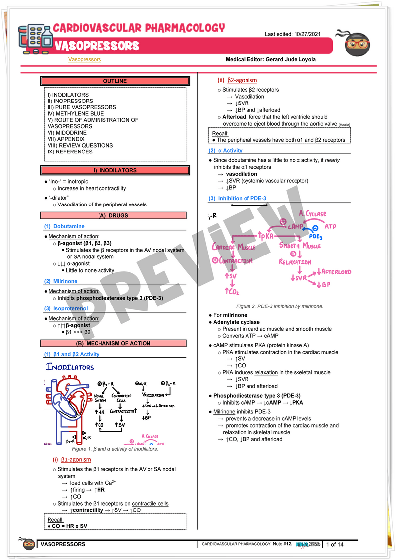 Vasopressors: Inodilators, Inopressors, Pure Vasopressors, Methylene ...