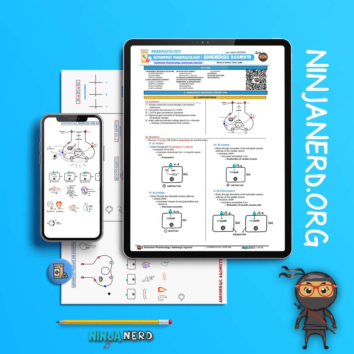 What's New - Ninja Nerd