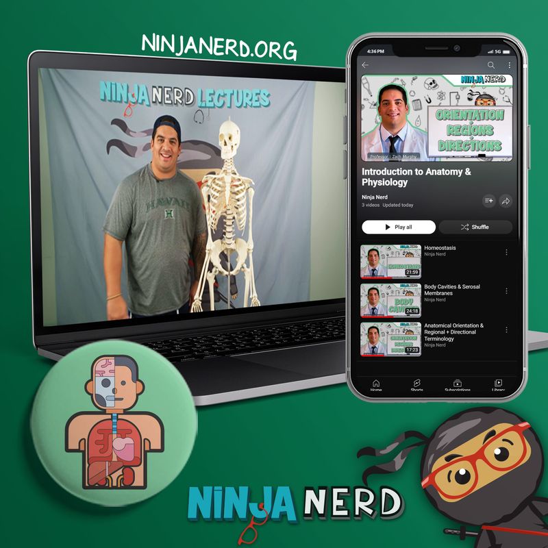 What's New - Ninja Nerd