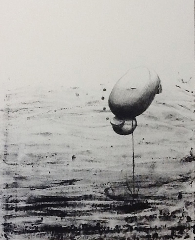 Erne InLiquid Member Portfolio