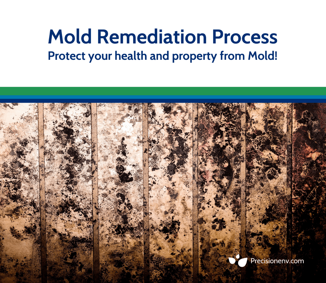 Mold Remediation Process | Precision Environmental