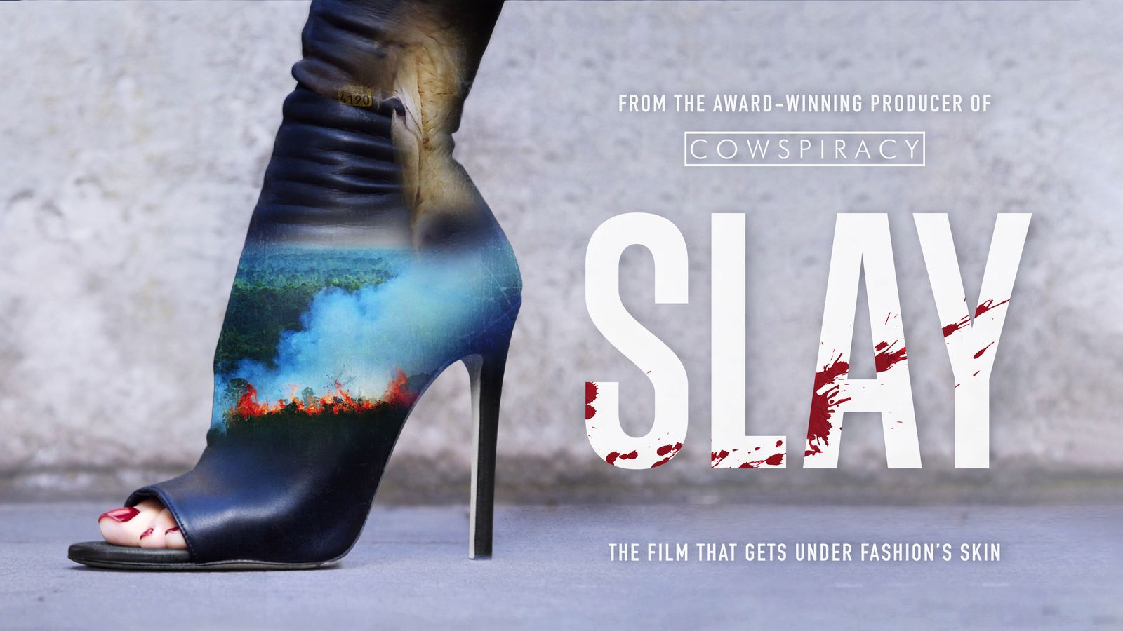 Welcome to WaterBear