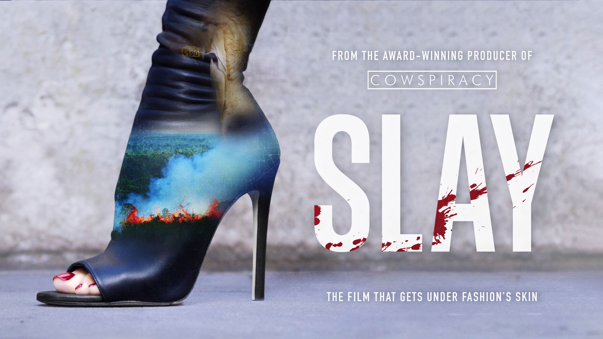 Welcome to WaterBear