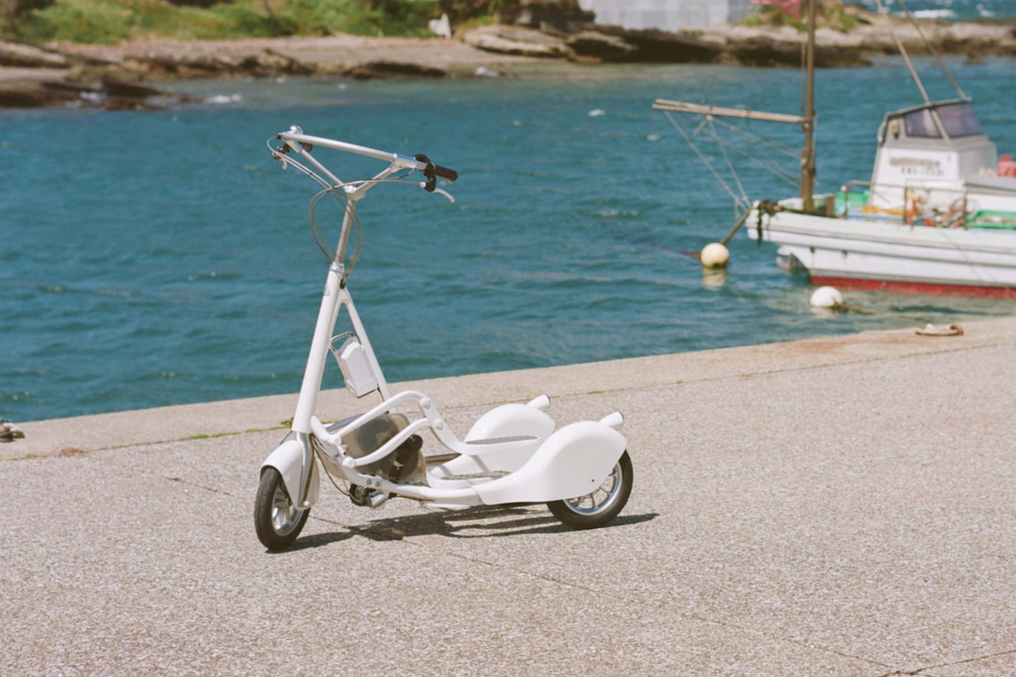 walking bicycle club