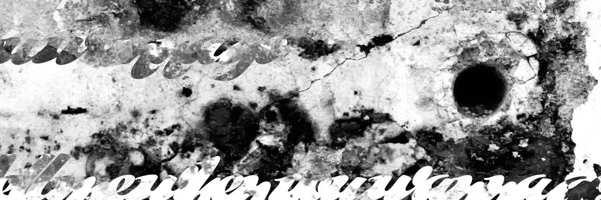 Poetonic Season 3 | CNFT Calendar