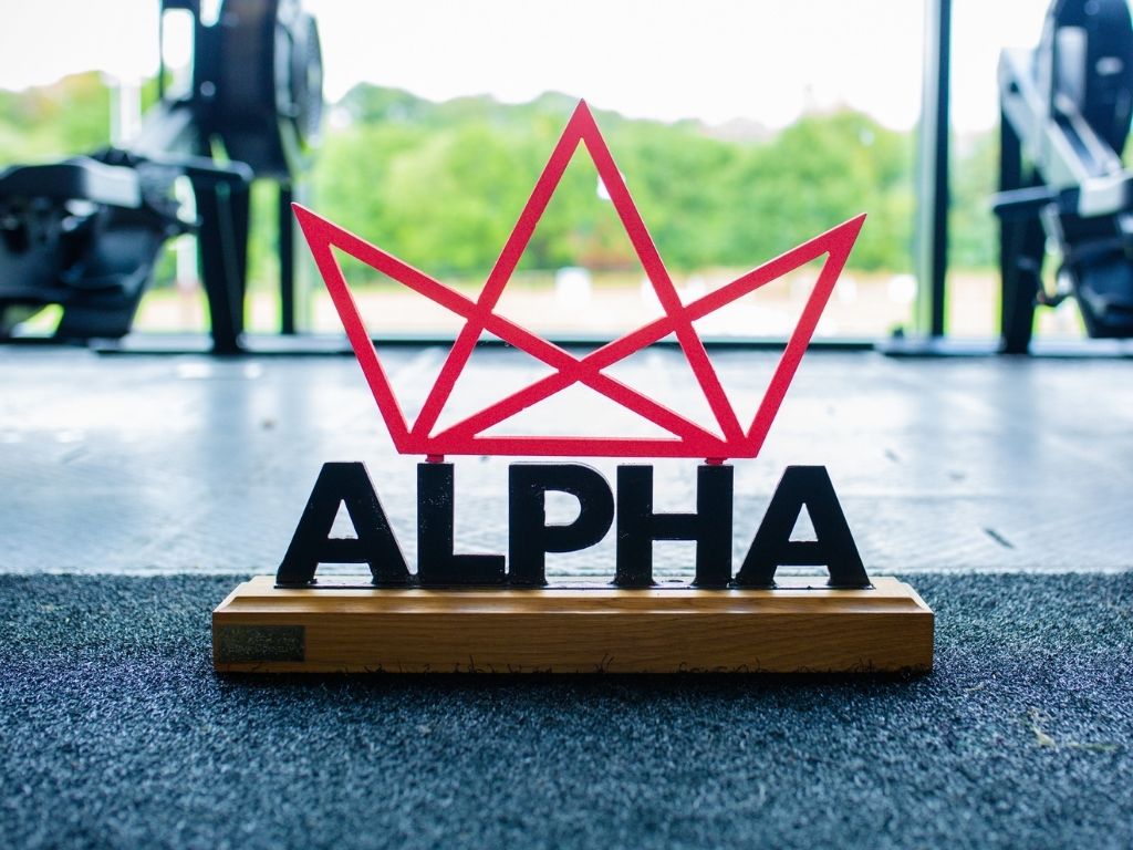 ALPHA Female Is Coming!