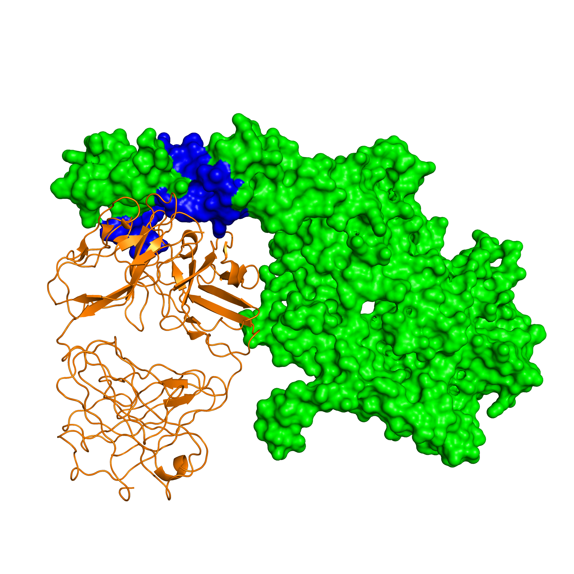 Protein-Protein Interaction