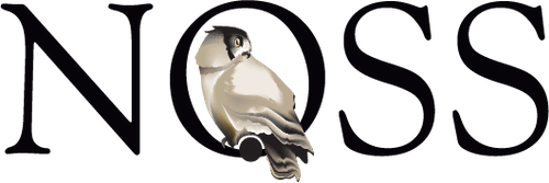 Night Owl Support Systems