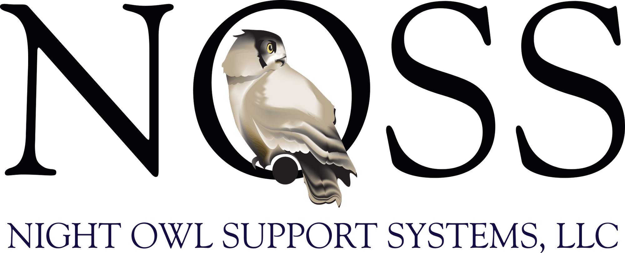 Night Owl Support Systems