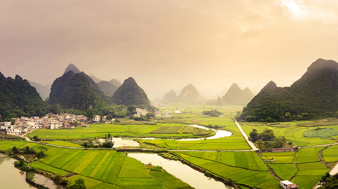 Understanding China's food systems | Rural Funds Management