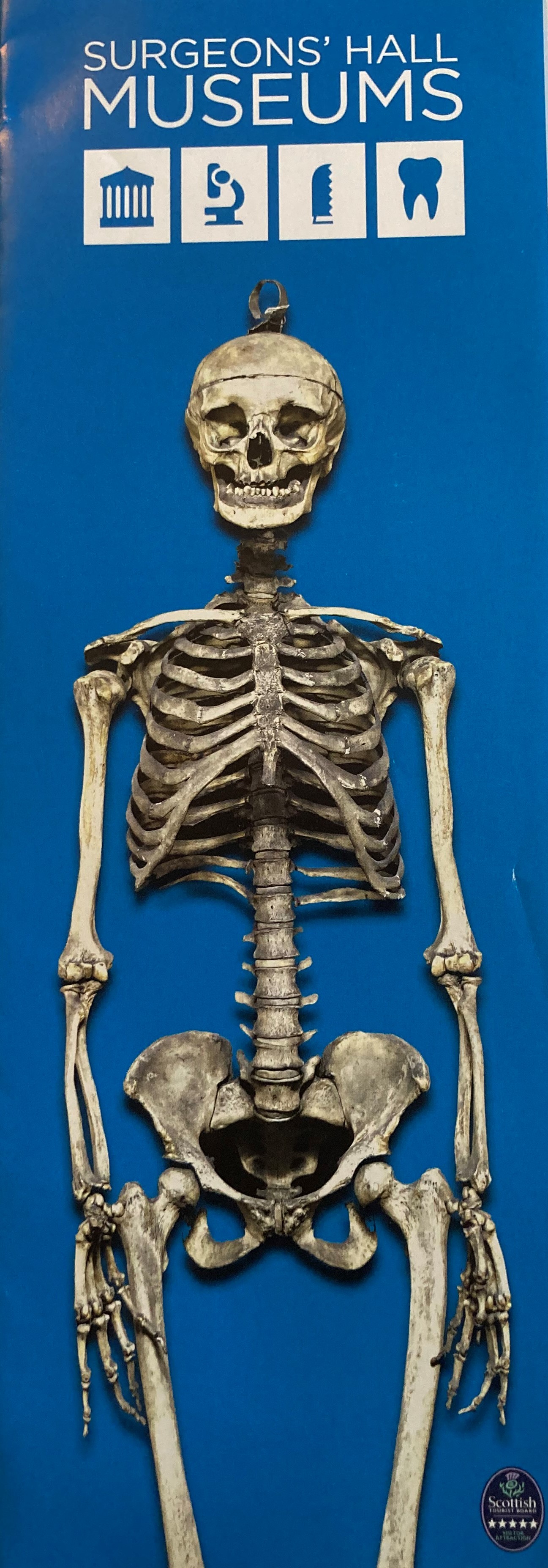 Surgeon's Hall Museum