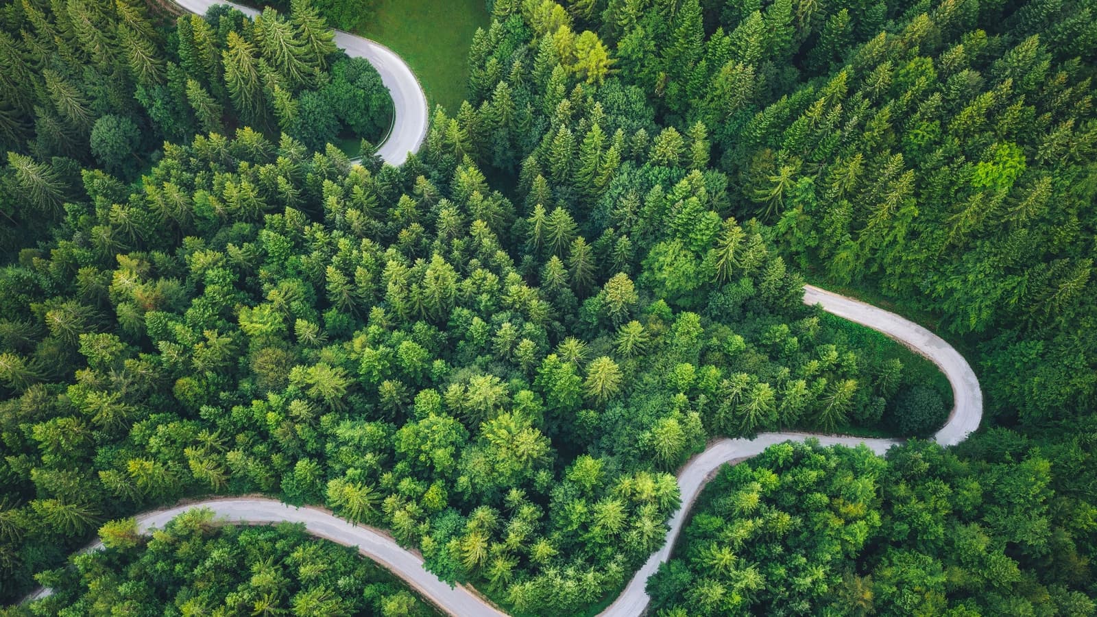 ATM Machines For Sale - Buy ATM Machine For Business | Next Payments