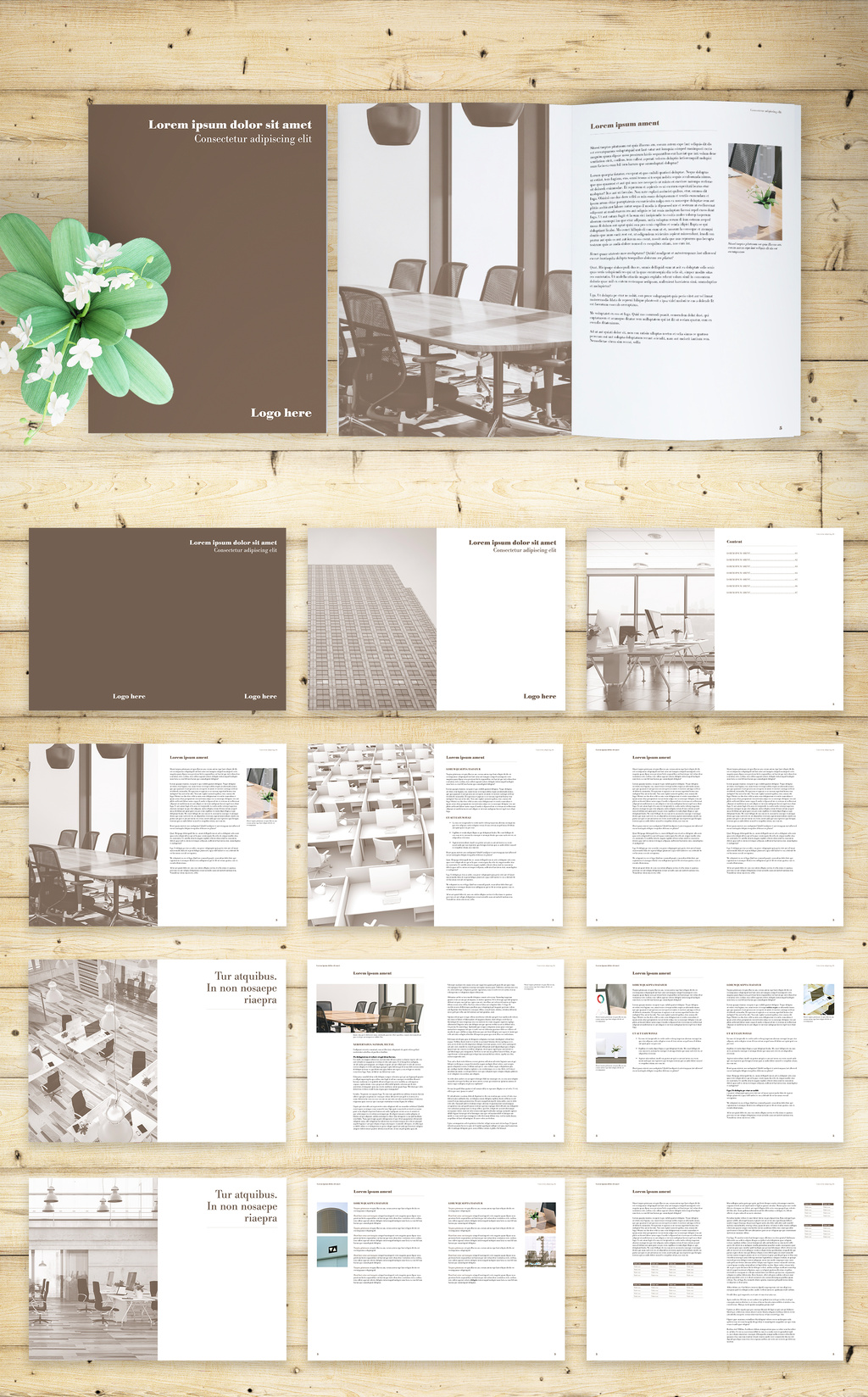 50 Best InDesign Book Templates 2023 Redokun Blog